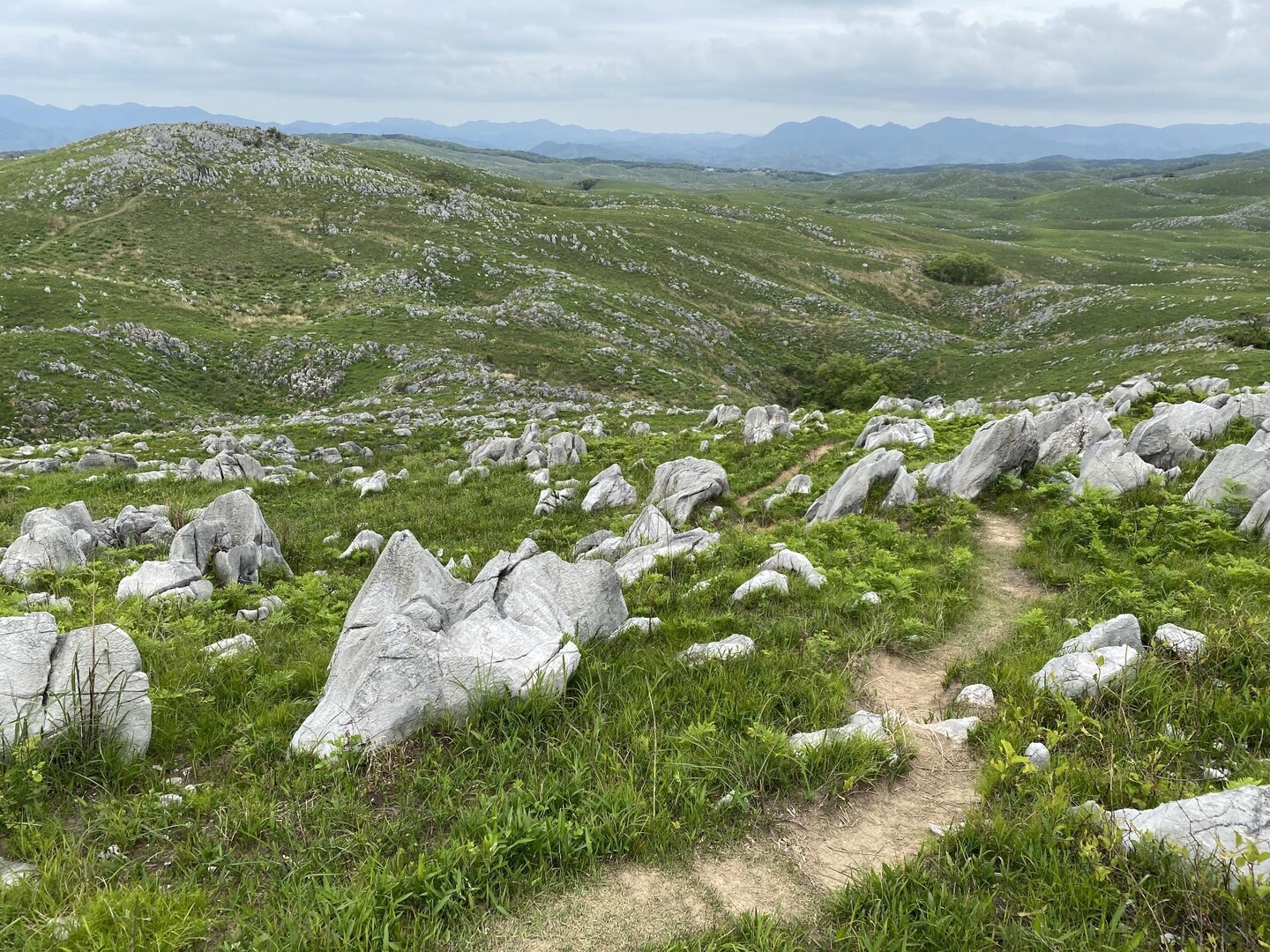 若竹山・北山・冠山・地獄台・烏帽子岳・剣山・小剣山 / amanomanさんの秋吉台の活動データ | YAMAP / ヤマップ