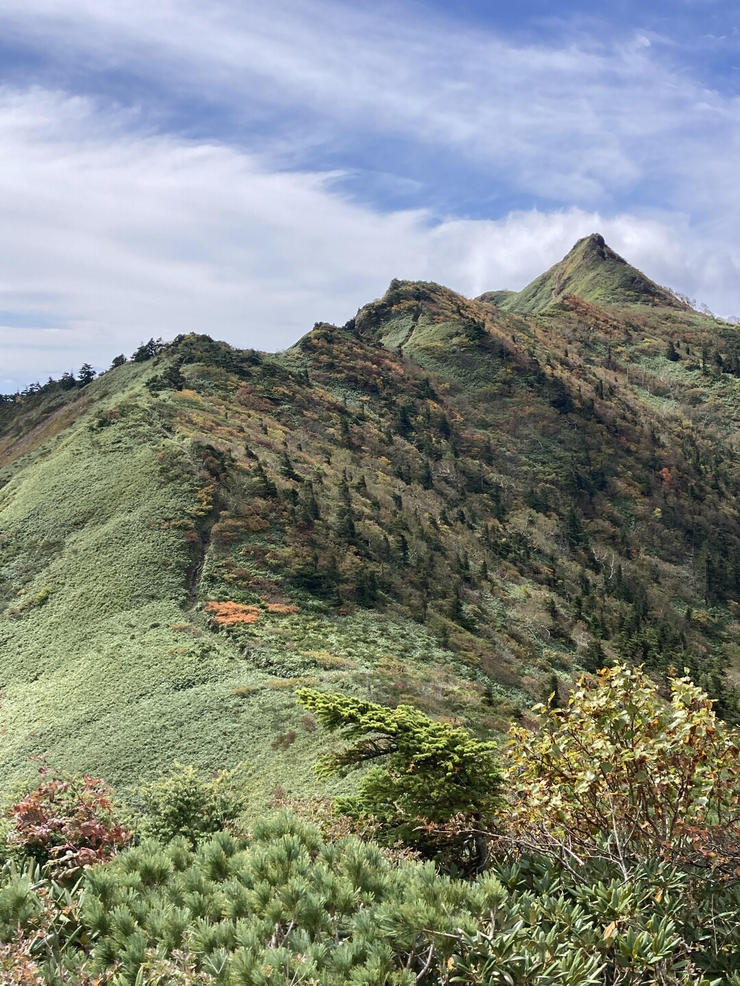雨上がりの武尊山から剣ヶ峰へ（武尊神社駐車場から周回） / NOVさんの武尊山・鹿俣山・尼ヶ禿山の活動データ | YAMAP / ヤマップ