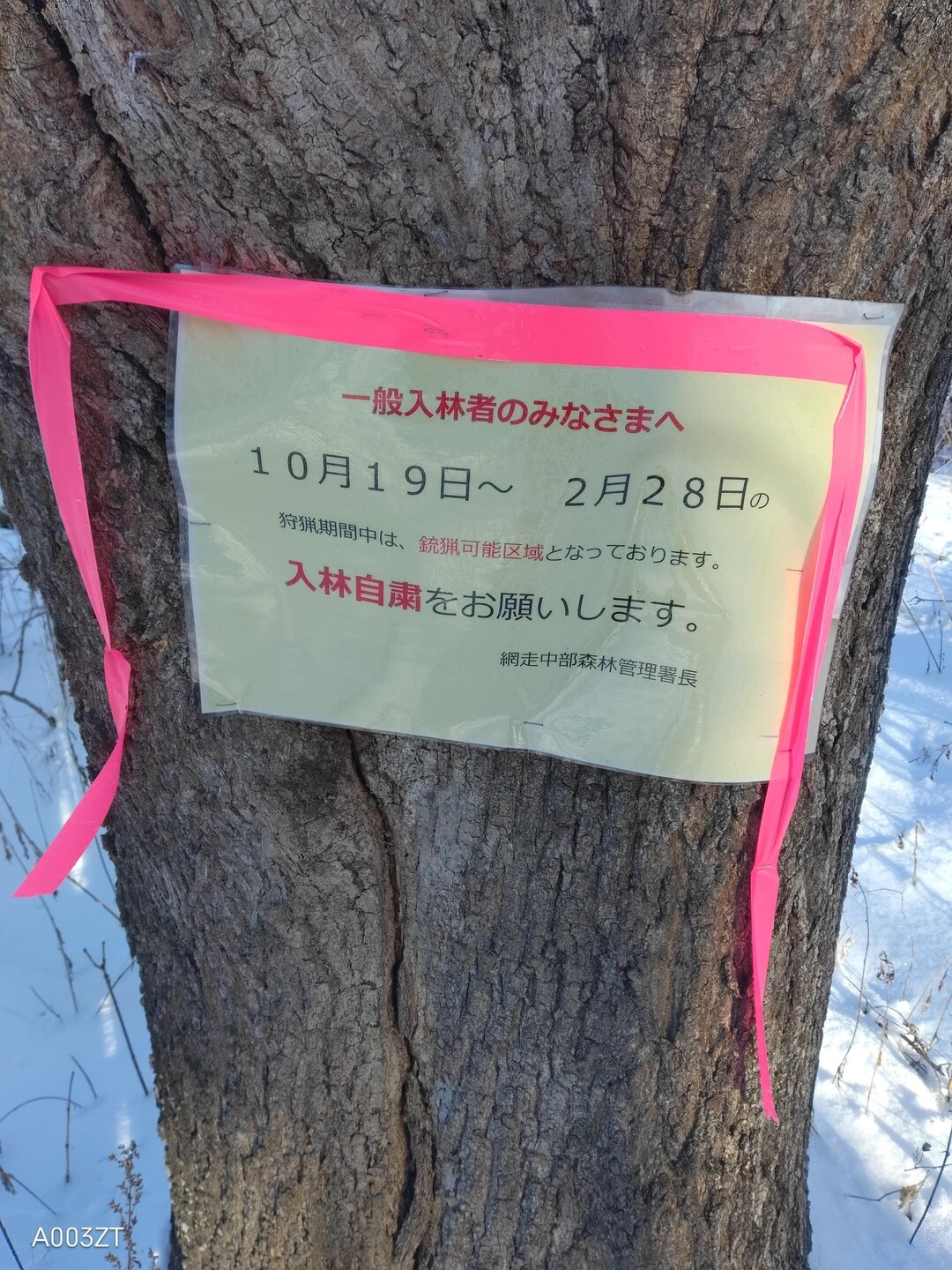 要軽アイゼン 北見富士 / Daiさんの北見富士の活動データ | YAMAP / ヤマップ