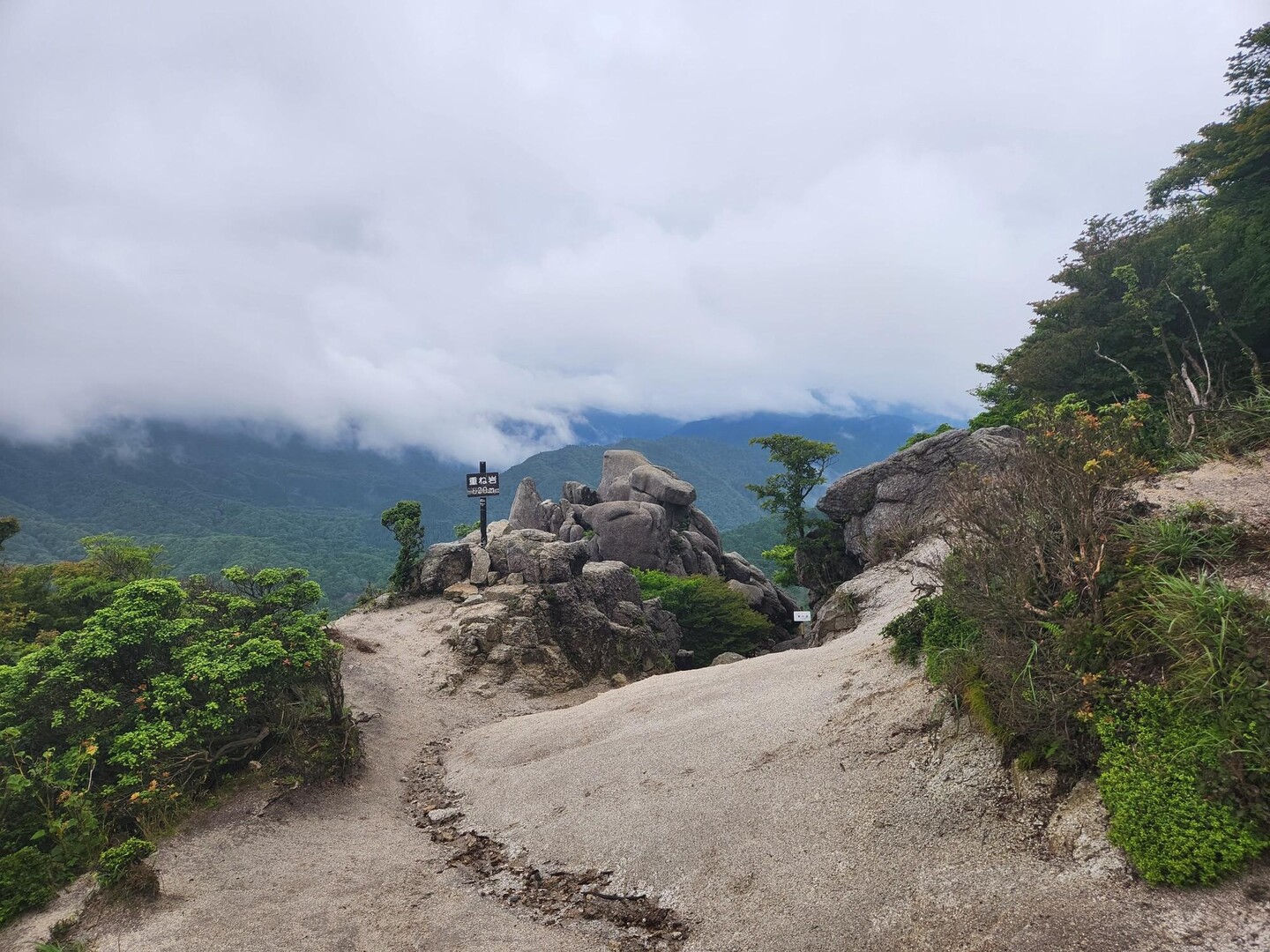 わん丸さんの投稿したフィールドメモ | YAMAP / ヤマップ