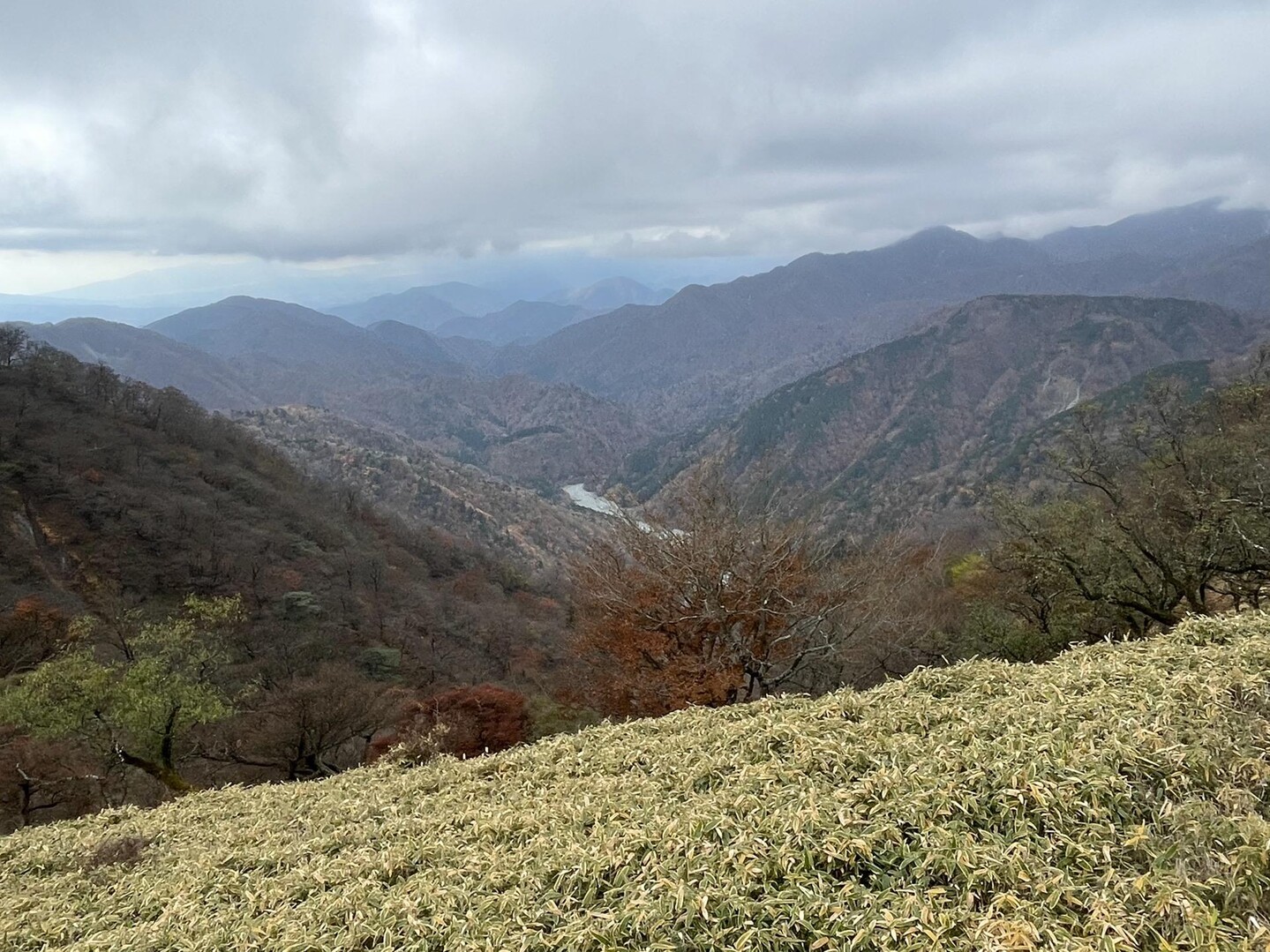 大倉バス停-塔ノ岳-丹沢山往復 / serickさんの塔ノ岳・丹沢山・蛭ヶ岳の活動データ | YAMAP / ヤマップ