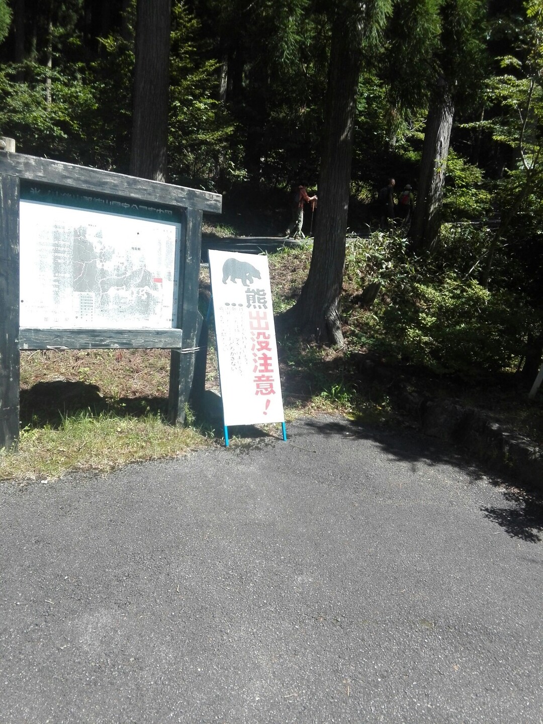 🍀🍀🌿🌿西粟倉村、若杉原生林🌿🌿🍀🍀 Ryujiさんの沖ノ山・若杉原生林（若杉天然林）の活動データ Yamap ヤマップ