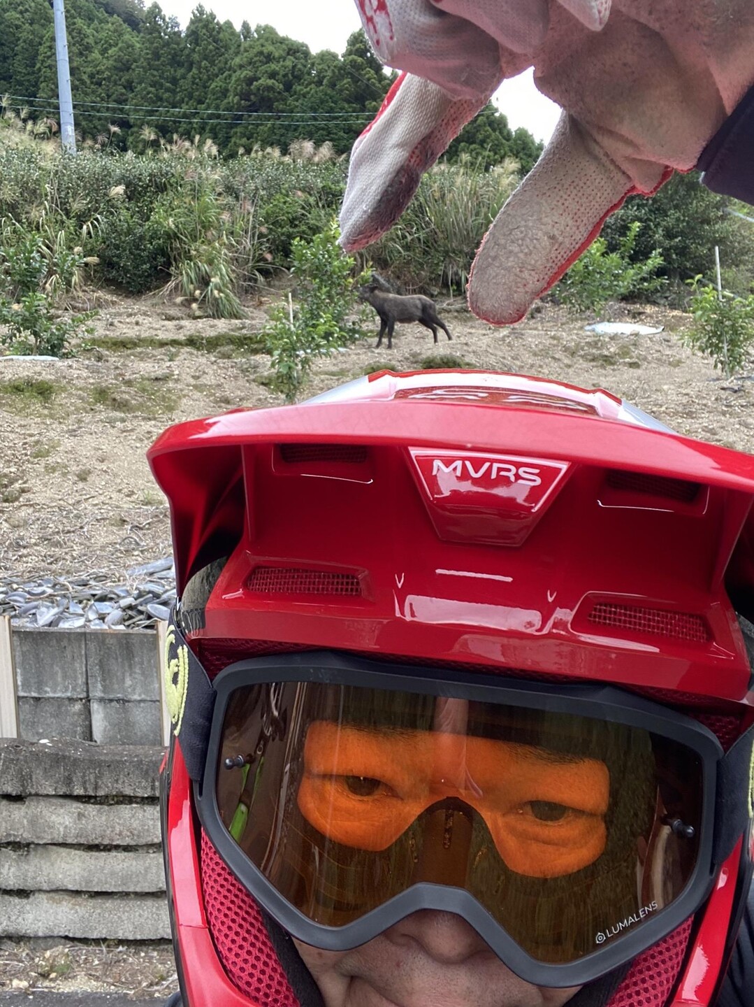 粟ヶ岳UFO🛸キャッチャー / のーりんさんの粟ヶ岳の活動日記 | YAMAP / ヤマップ