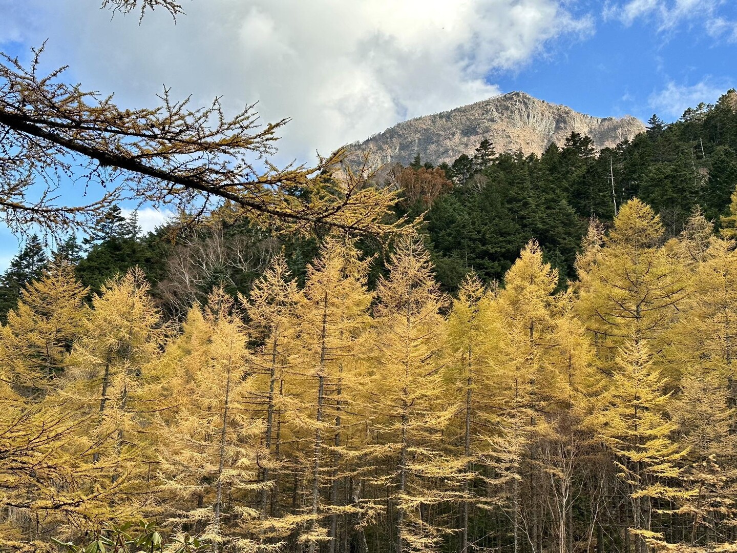 日本最高所の野天風呂♨️本沢温泉から白駒池 / Beniさんの八ヶ岳（赤岳・硫黄岳・天狗岳）の活動データ | YAMAP / ヤマップ