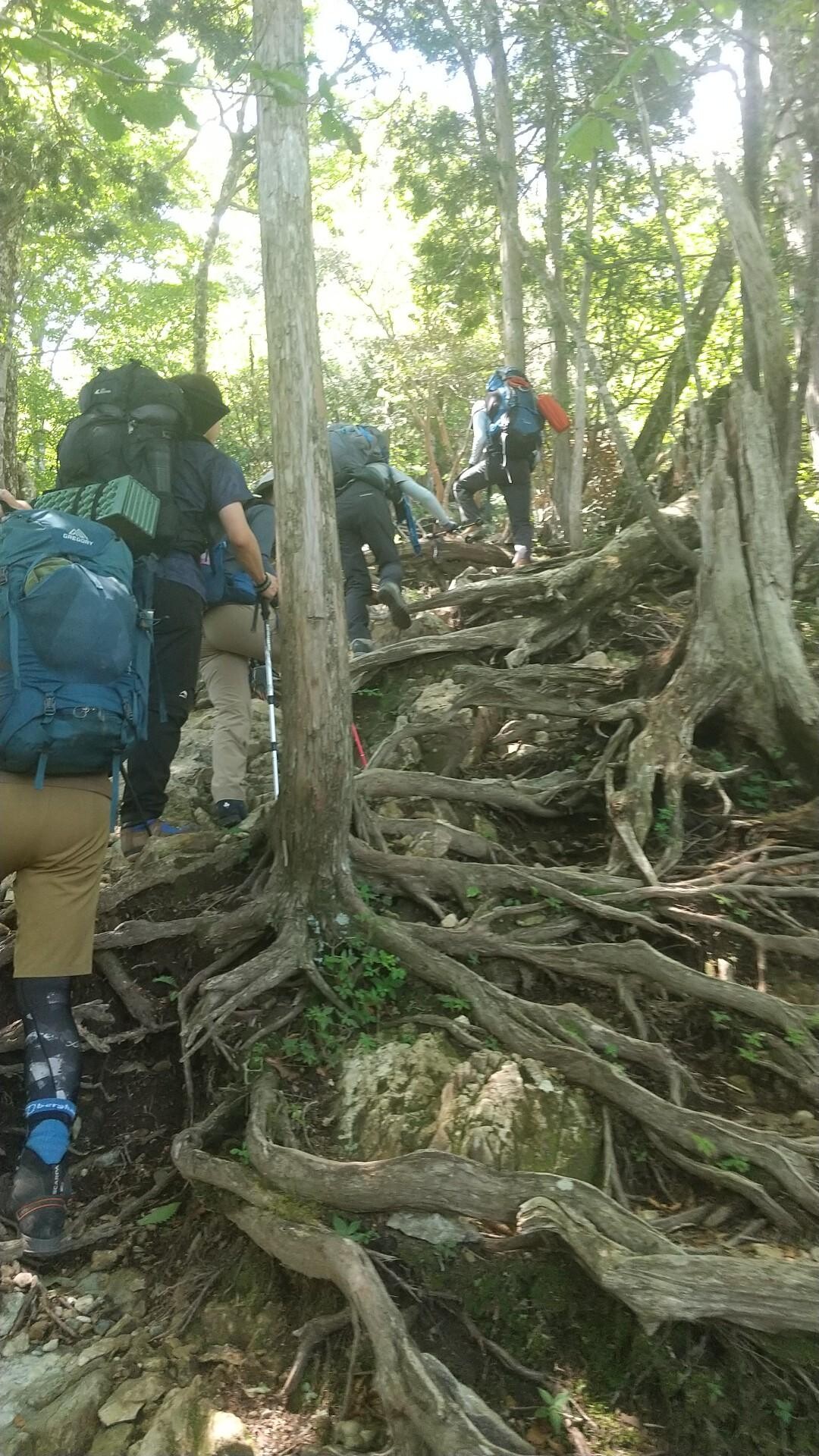 ShinjiHさんの投稿したフィールドメモ | YAMAP / ヤマップ