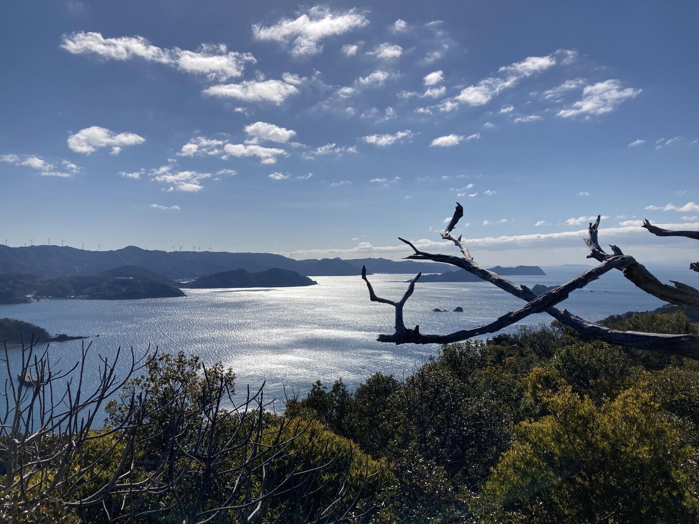 紀伊路 (海南〜湯浅) / bu-koさんの熊野古道 紀伊路①（山中渓駅～湯浅駅）の活動データ | YAMAP / ヤマップ