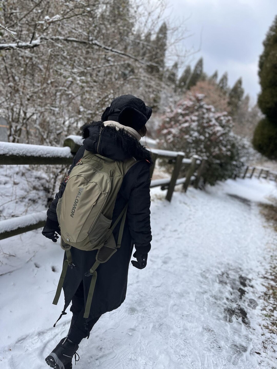 杵島岳 / hiyoriさんの阿蘇山・高岳・根子岳の活動日記 | YAMAP / ヤマップ