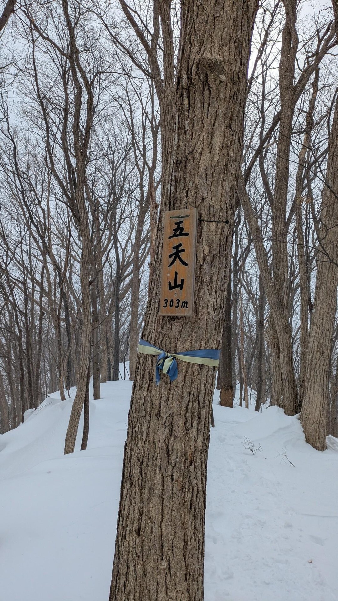 五天山 / kuro.masaさんの三角山・大倉山・円山の活動データ | YAMAP / ヤマップ