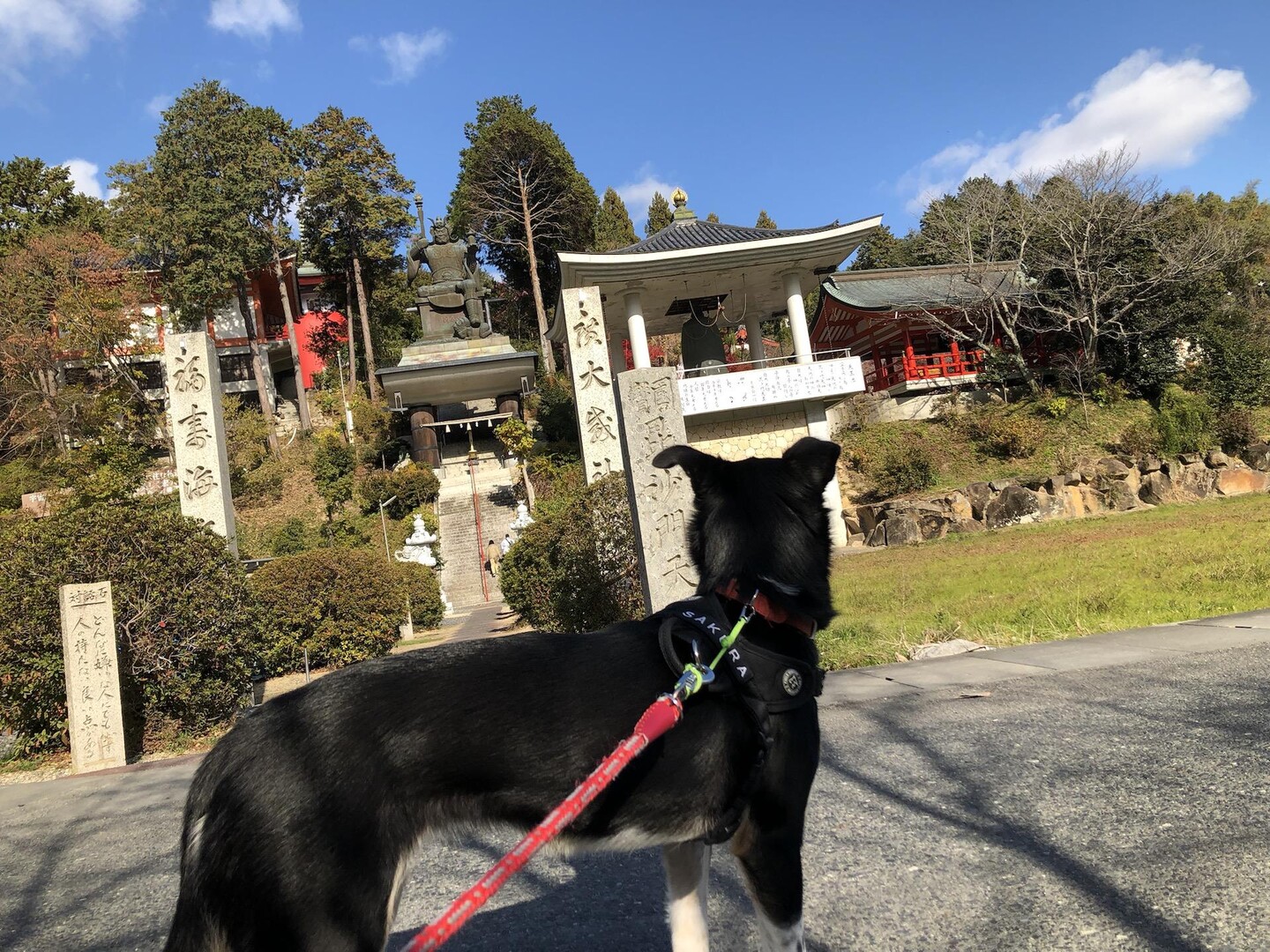 お散歩 de 福山・幸山 / m2.moonさんの福山・江田山・高鳥居山の活動データ | YAMAP / ヤマップ