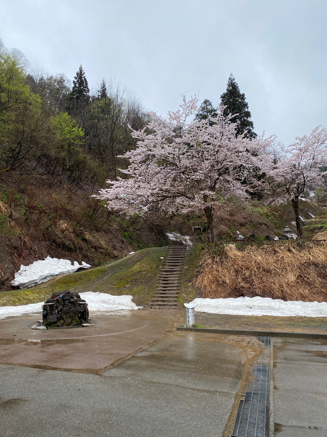 城山・丸山 / ぎゃんさんの時水城山・丸山の活動データ | YAMAP / ヤマップ