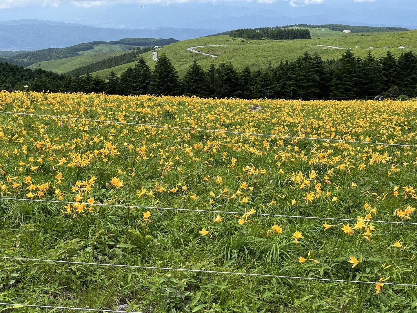 霧ヶ峰（車山） / masa599さんの霧ヶ峰・車山・大笹峰の活動日記 | YAMAP / ヤマップ