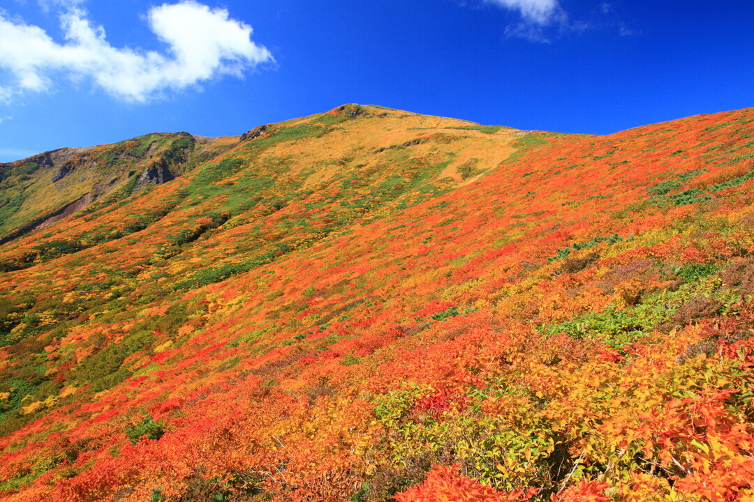 栗駒山の最新登山情報 人気の登山ルート、写真、天気など Yamap ヤマップ