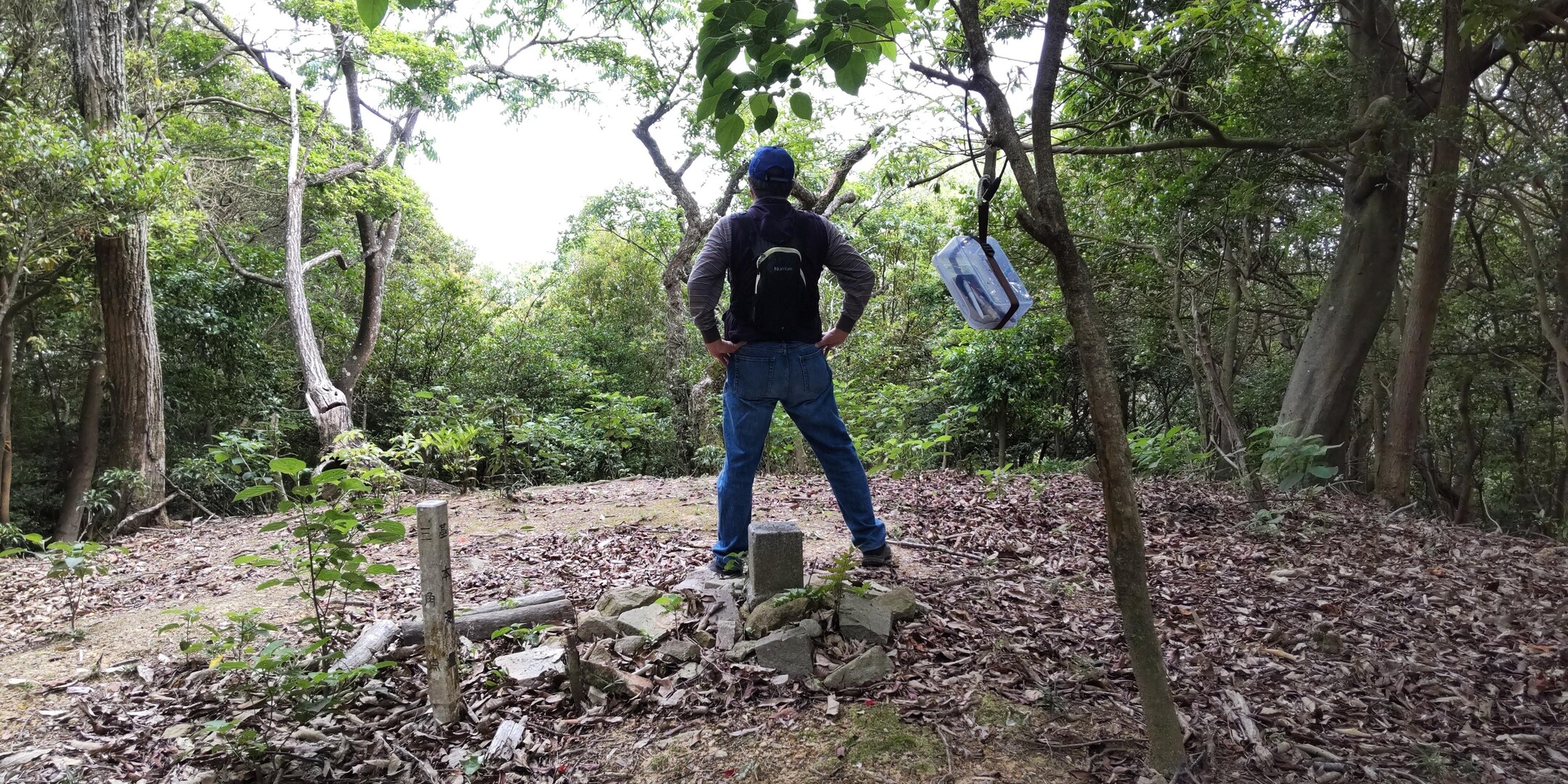 権現山・塚黒山・前山・雛山 / koke280さんの天下台山・嫦峨山の活動データ | YAMAP / ヤマップ