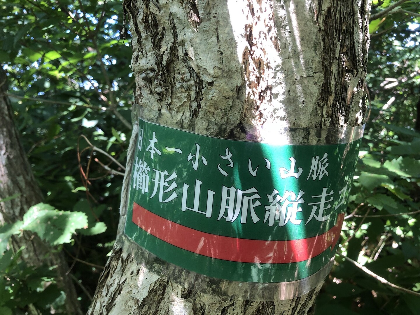 櫛形山 関沢登山口より外周 新潟県 下越 まさ🚗x Trailさんの櫛形山・鳥坂山・大峰山（櫛形山脈）の活動データ Yamap ヤマップ