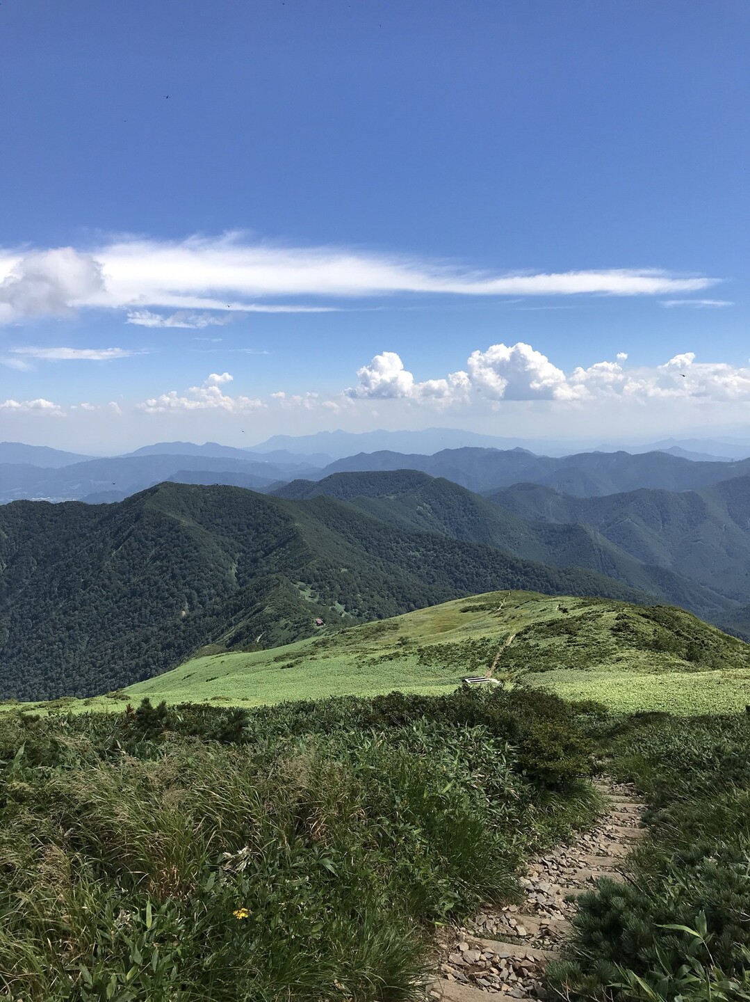 激アツ 平標山 / mikoさんの仙ノ倉山・平標山・大源太山の活動日記 | YAMAP / ヤマップ