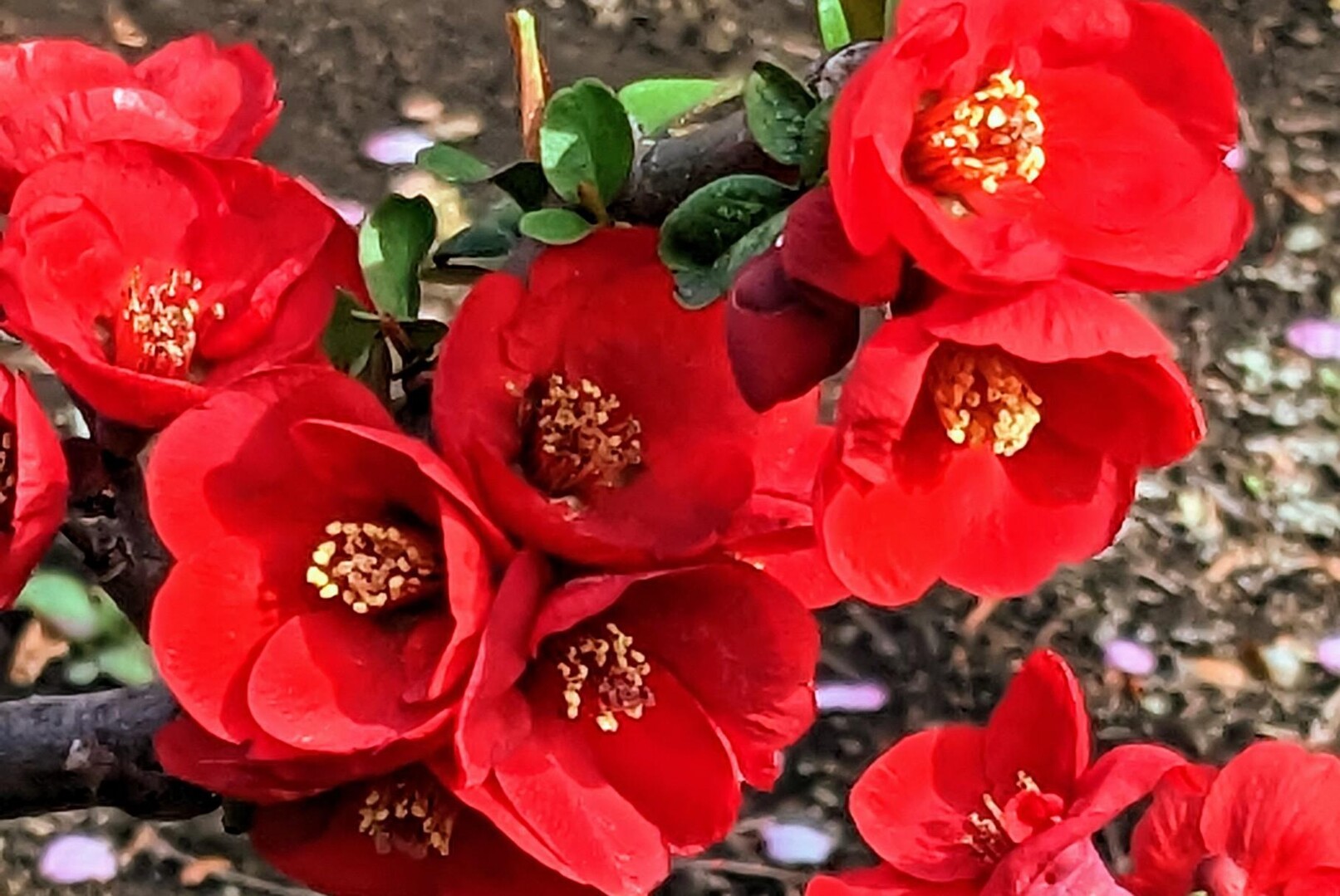 key散歩🚶 / 🥾Kei🧗さんのモーメント | YAMAP / ヤマップ