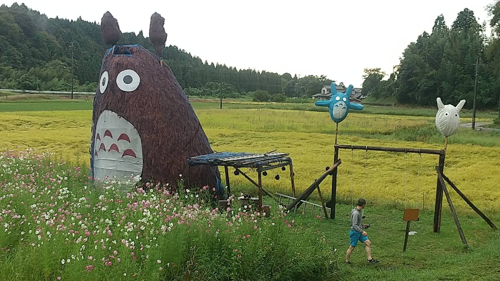 末森山 ん〜。もう少し計画的に攻めなくては‥ / nomatさんの宝達山の活動データ | YAMAP / ヤマップ