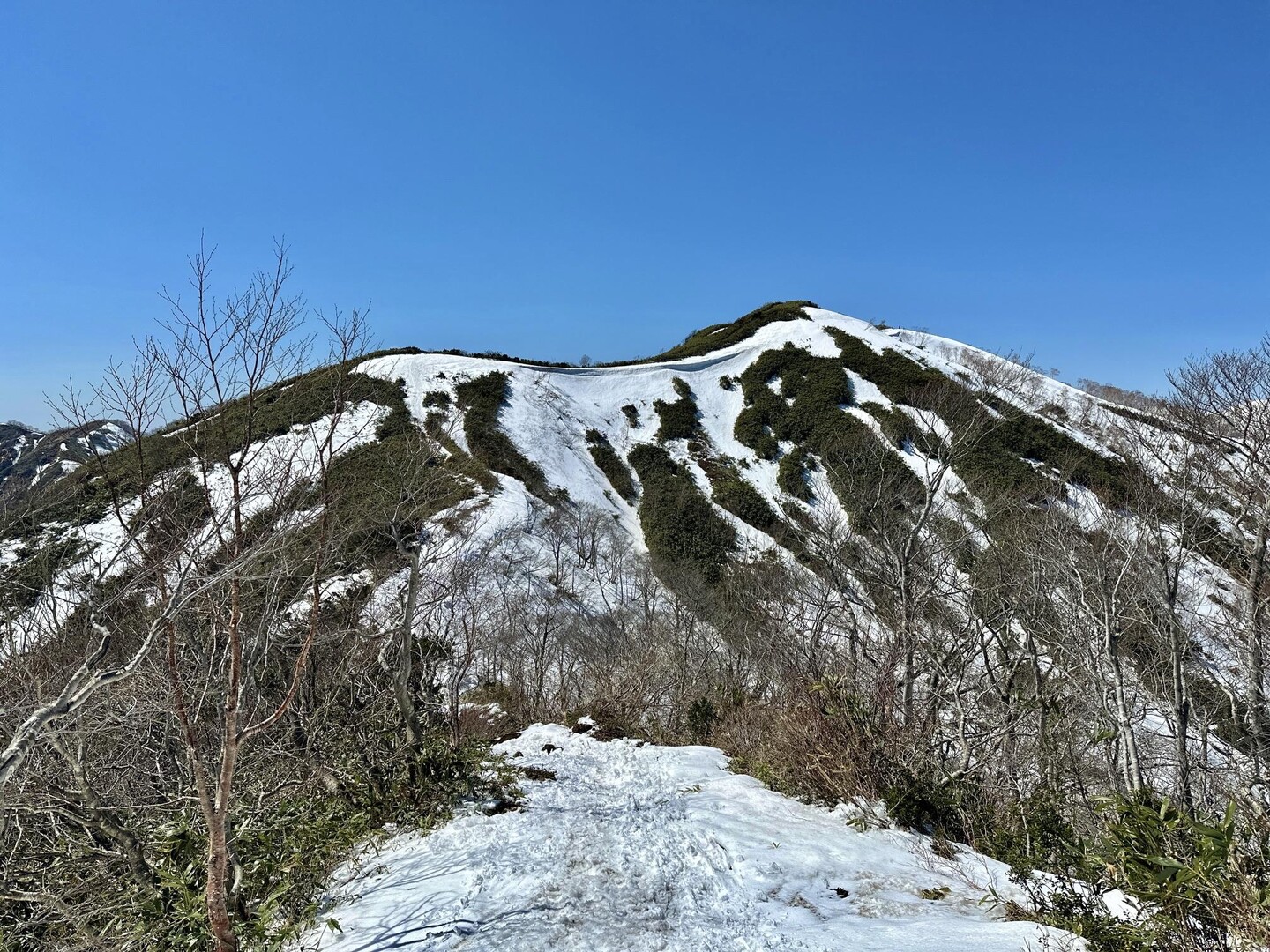 大日ヶ岳 牛の背 😳 / mioさんの大日ヶ岳・毘沙門岳の活動データ | YAMAP / ヤマップ