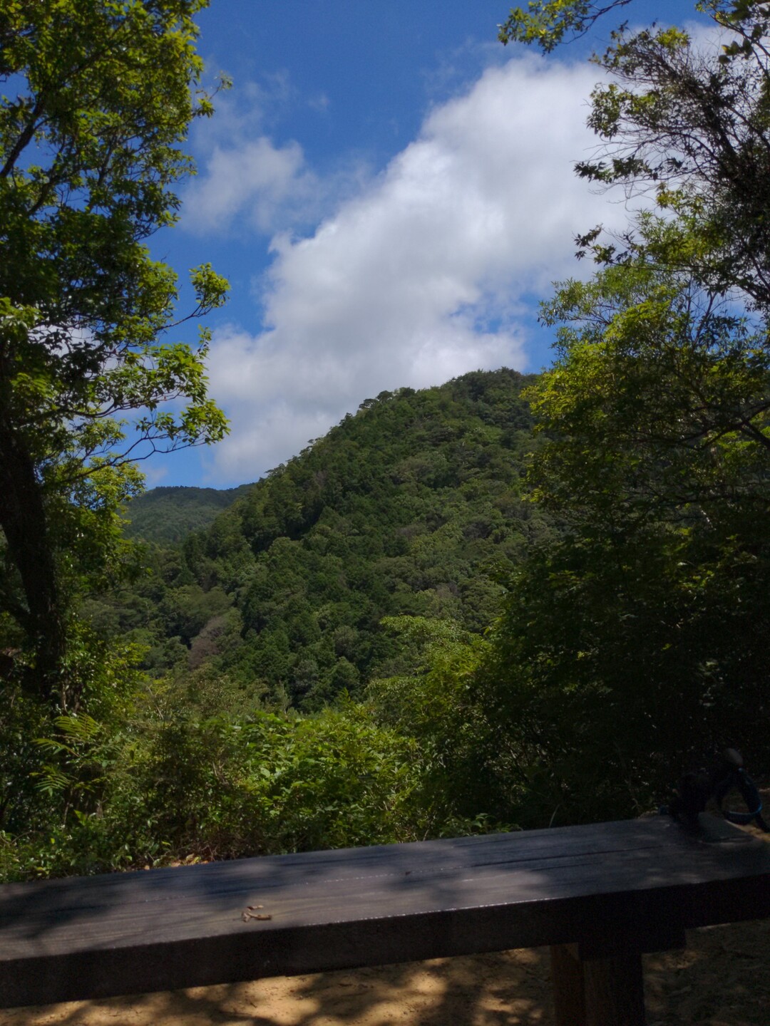 TAZさんの投稿したフィールドメモ | YAMAP / ヤマップ