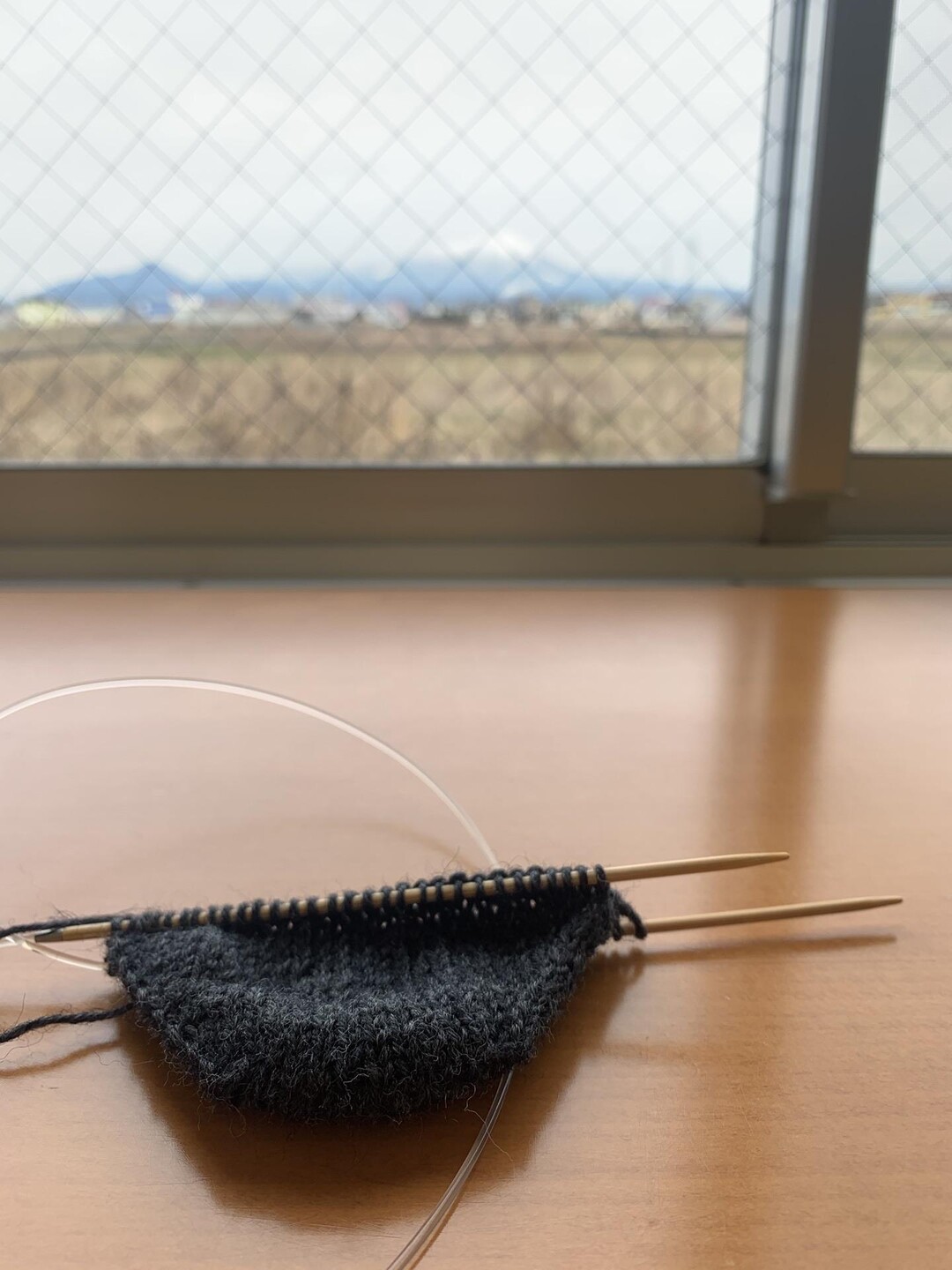 久々に大山を眺めながら待合にて時間潰し ... / nekoさんのモーメント | YAMAP / ヤマップ