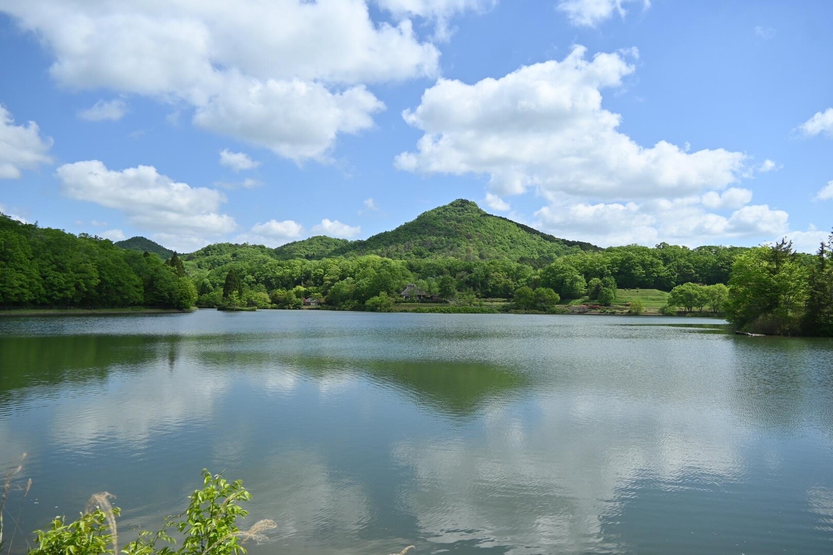 有馬富士 / crossさんの有馬富士の活動データ | YAMAP / ヤマップ