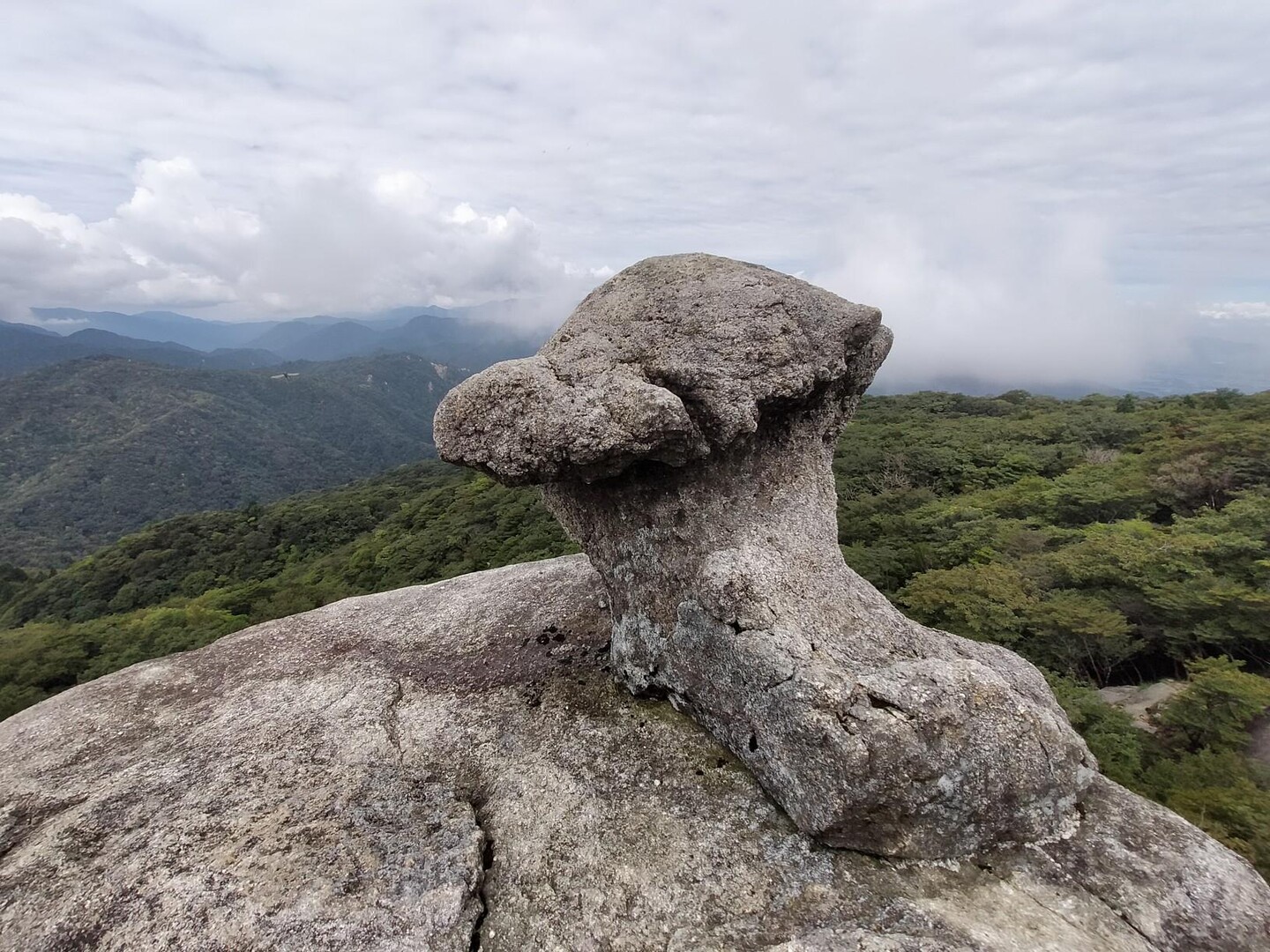 ハライド・青岳 #146 / yassunさんの釈迦ヶ岳の活動データ | YAMAP / ヤマップ