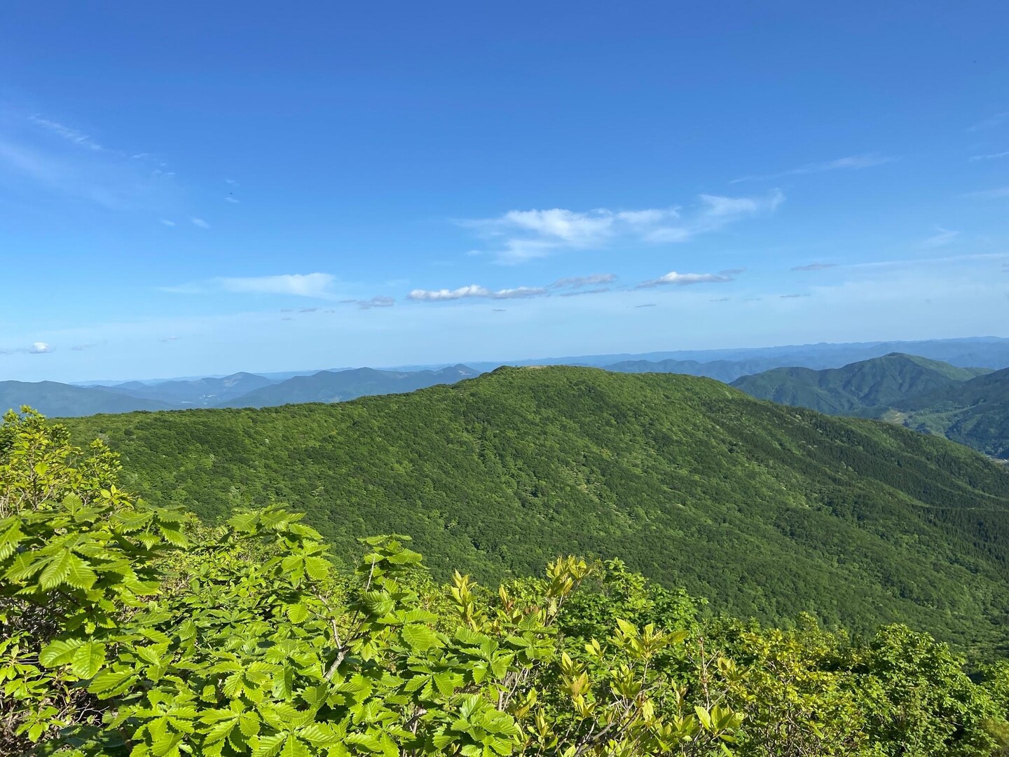 立烏帽子山 SOTA JA/HS-004 / JO4EMT （mooriiy style）さんの比婆山・立烏帽子山・吾妻山の活動データ | YAMAP / ヤマップ