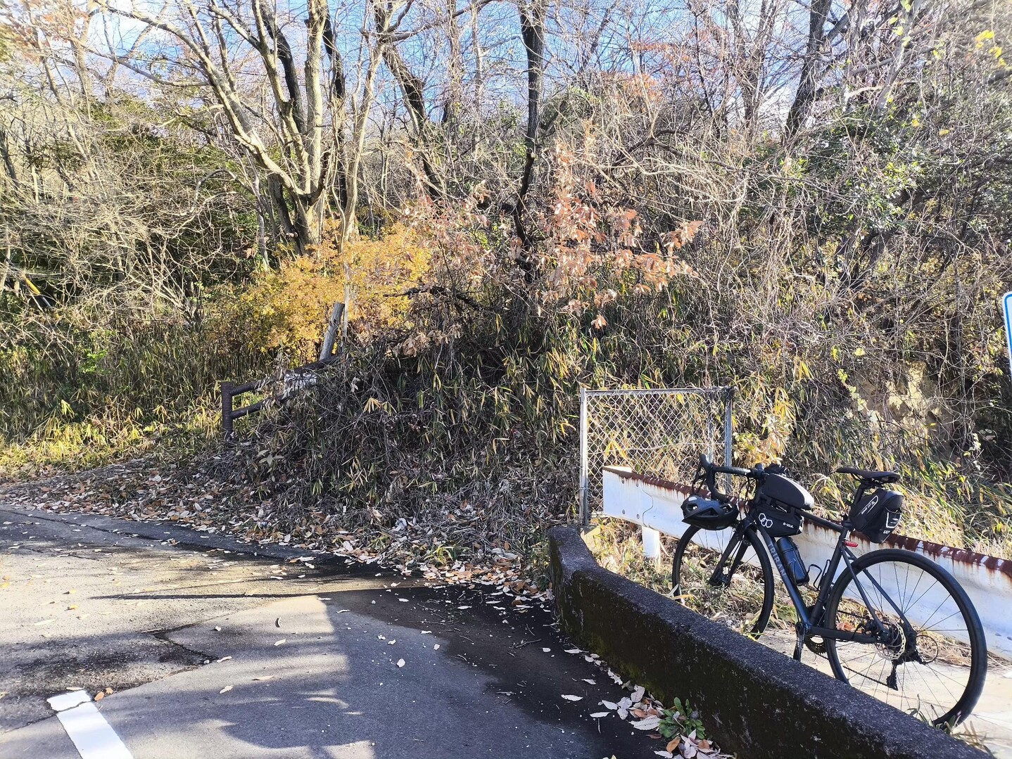 三井山-2025-01-04 / moziさんの三井山の活動データ | YAMAP / ヤマップ