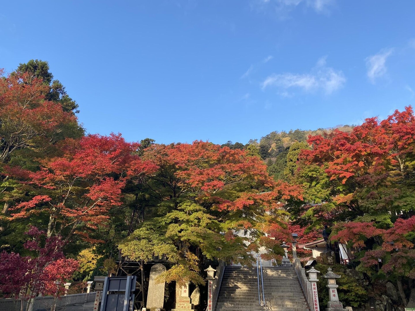 大山 / JOEさんの大山の活動データ | YAMAP / ヤマップ