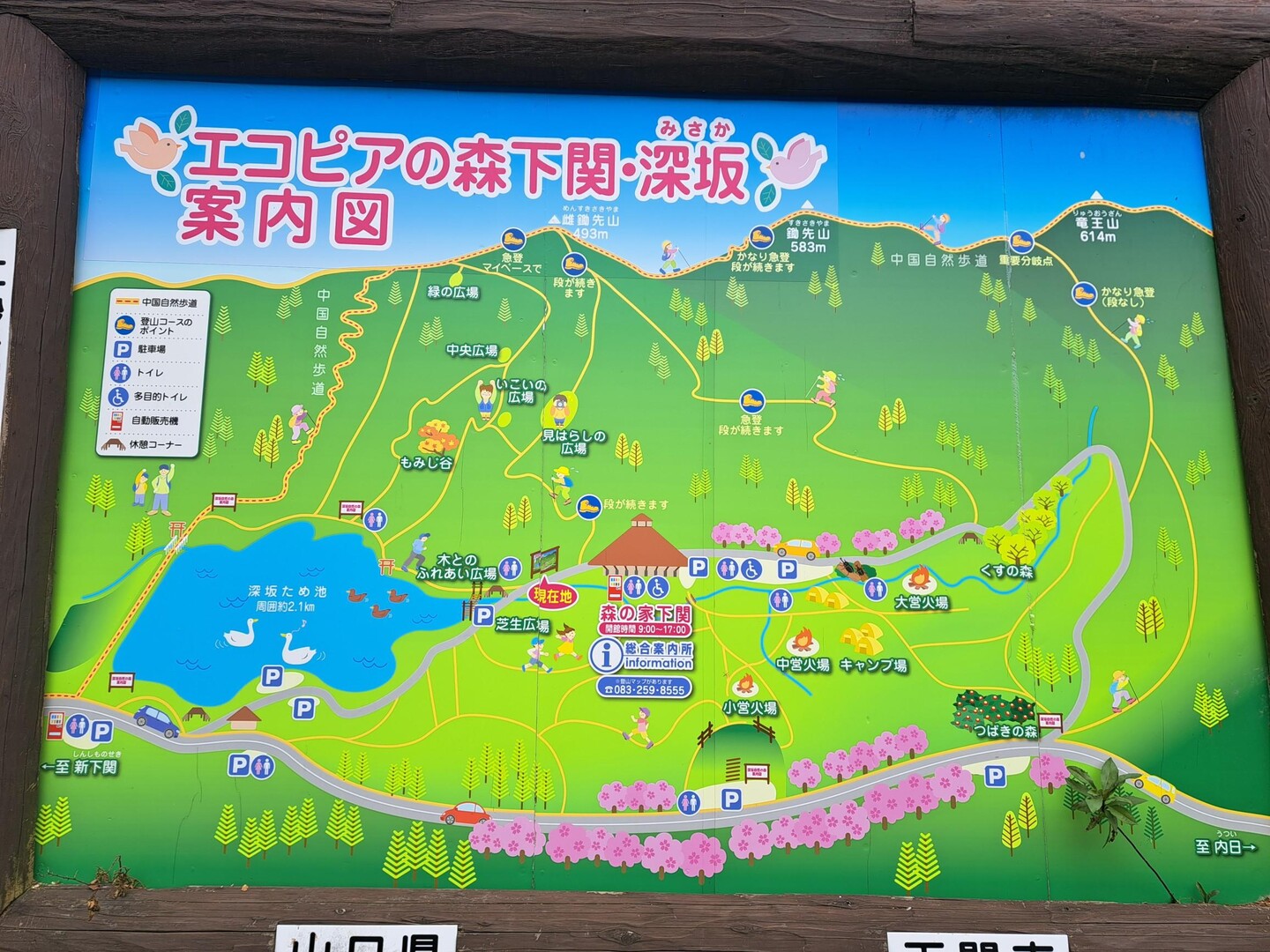 竜王山山頂はちょい雨 / ゆうさんの竜王山・鋤尖山・鬼ヶ城の活動データ | YAMAP / ヤマップ