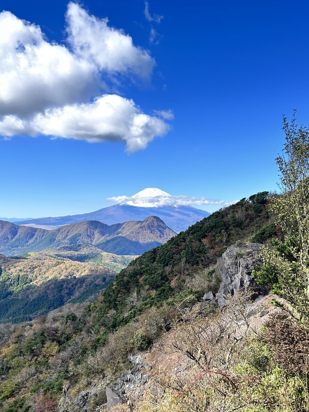 明神ヶ岳・火打石山 / Maaさんの金時山・明神ヶ岳の活動データ | YAMAP / ヤマップ