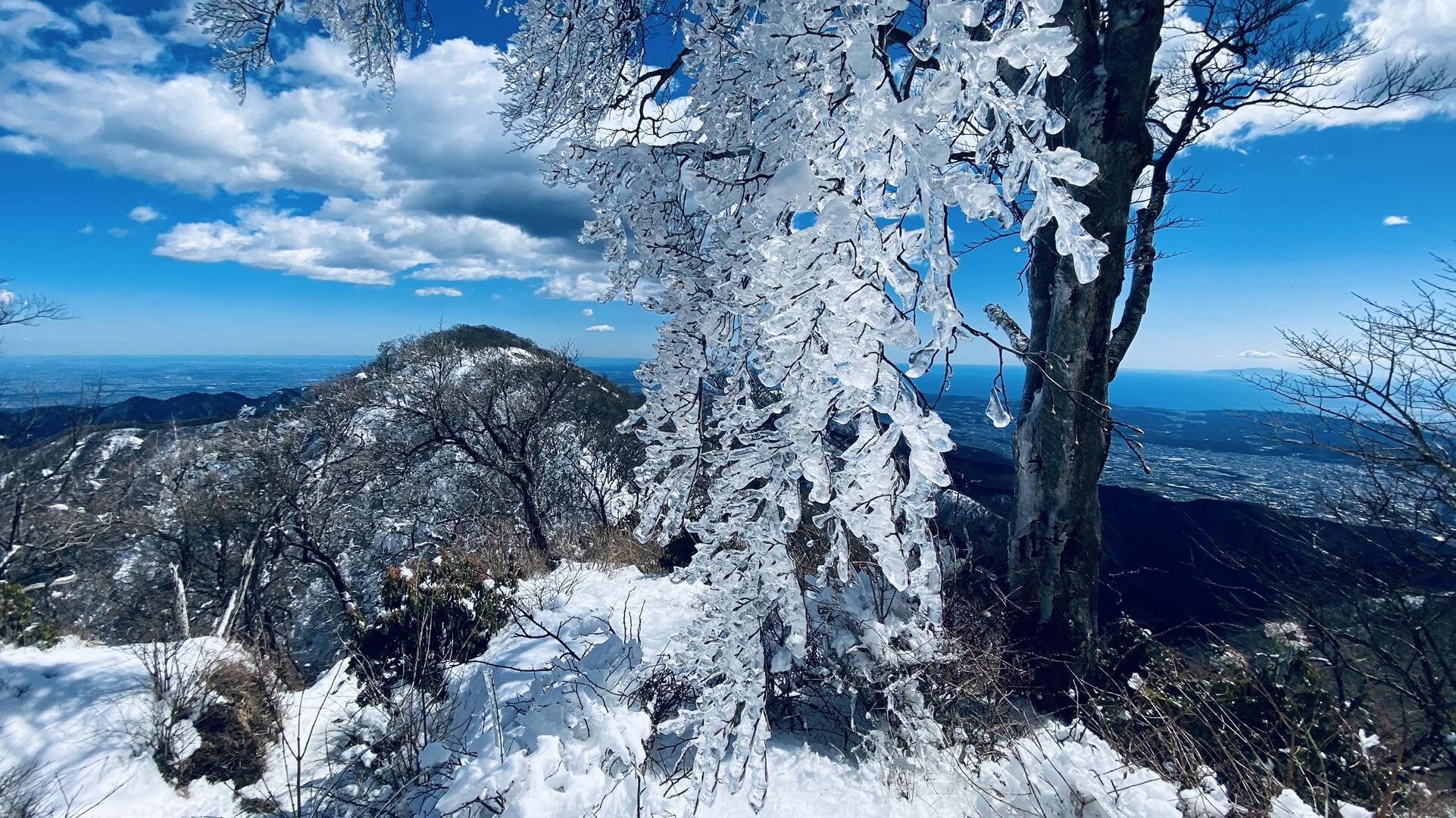 岳ノ台・二ノ塔・三ノ塔・烏尾山・行者ヶ岳・政次郎ノ頭・新大日・木ノ又大日・塔ノ岳・堀山 / sonさんの塔ノ岳・丹沢山・蛭ヶ岳の活動データ | YAMAP / ヤマップ