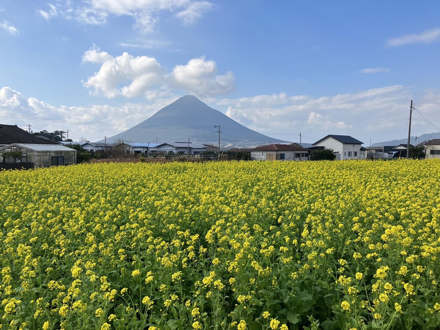 かごんま遠征②〜開聞岳〜 / Teruさんの開聞岳の活動データ | YAMAP / ヤマップ