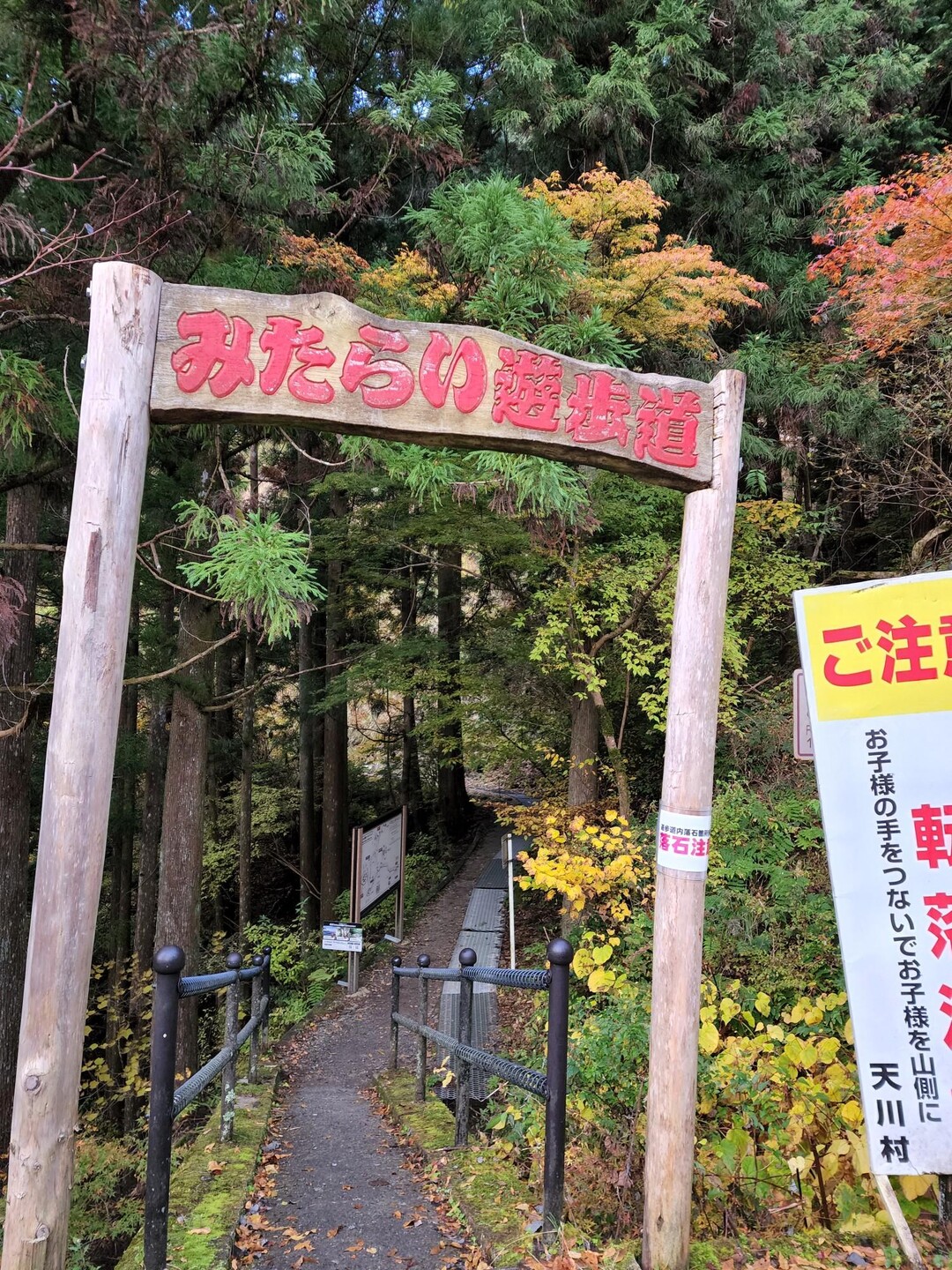 みたらい渓谷ハイキング2022-11-13 / パグさんの観音峯山・大普賢岳・山上ヶ岳・稲村ヶ岳の活動データ | YAMAP / ヤマップ
