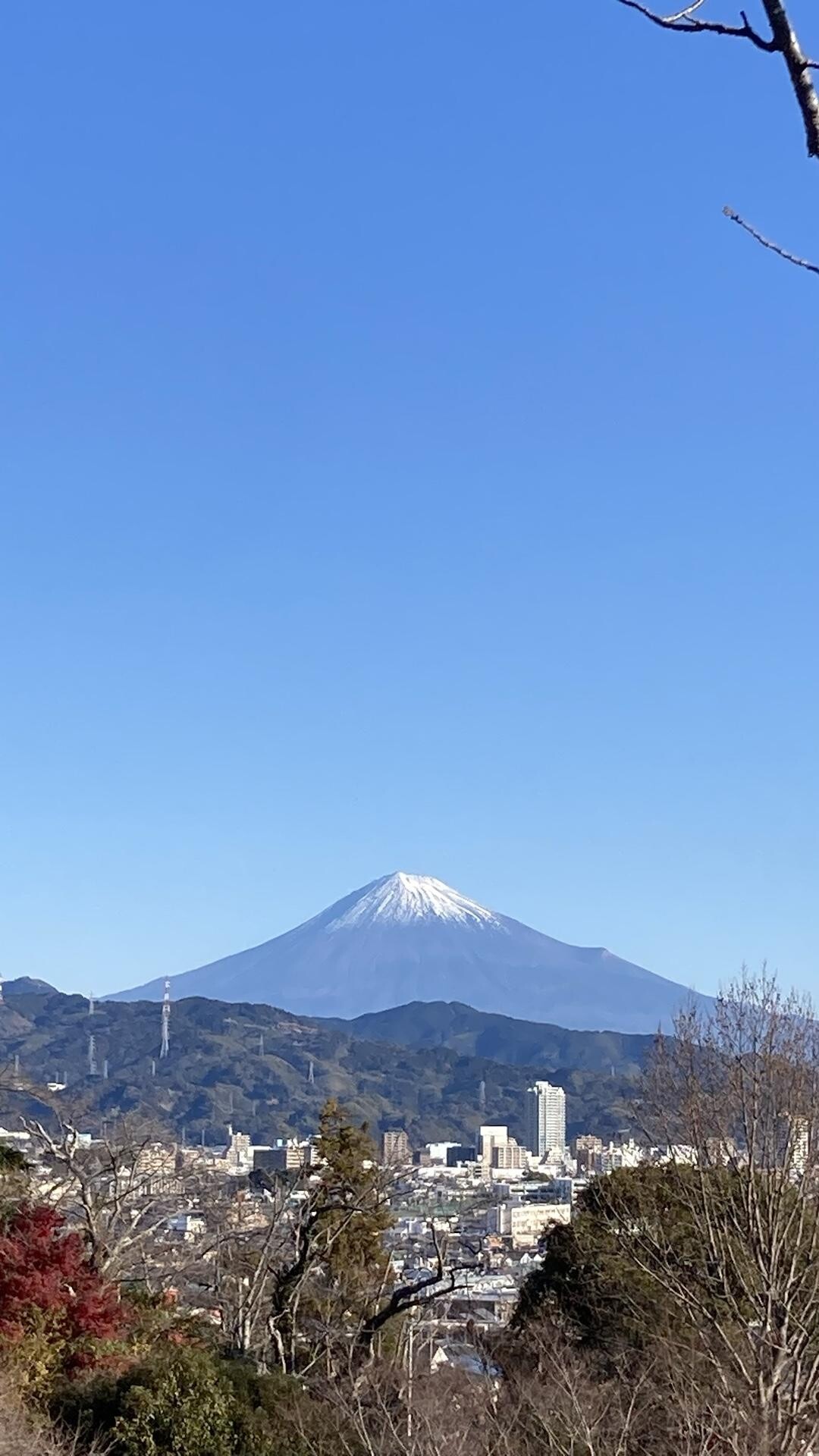 有度山⛰🏃‍♂️🚶‍♀️ / Koron-mamaさんの日本平の活動データ | YAMAP / ヤマップ