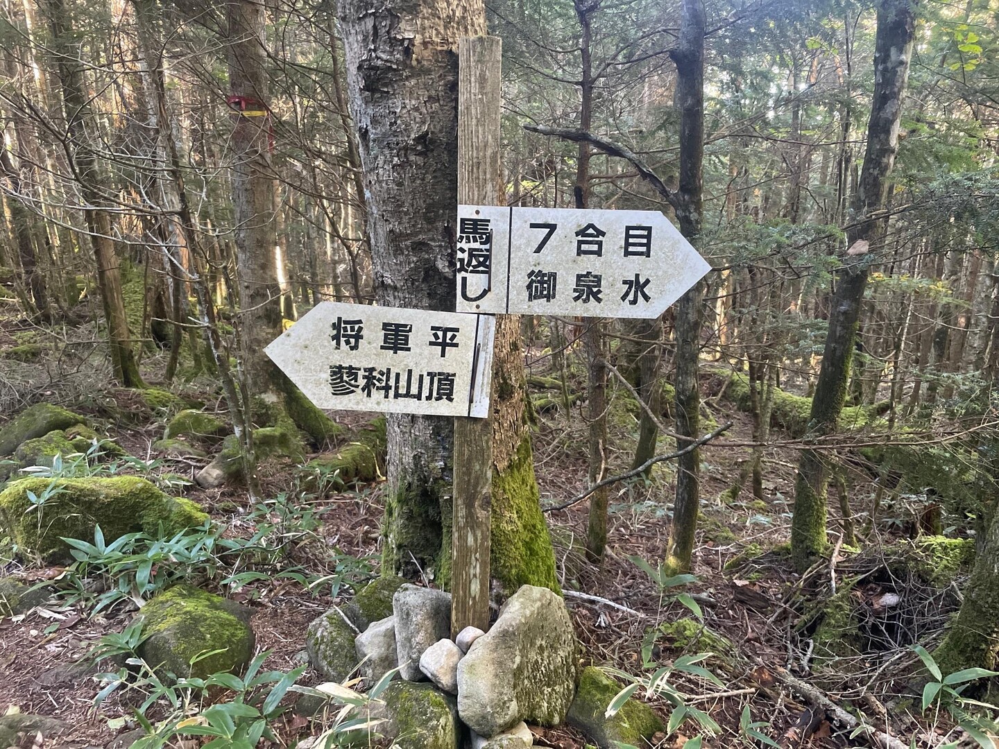 t.tamioさんの投稿したフィールドメモ | YAMAP / ヤマップ