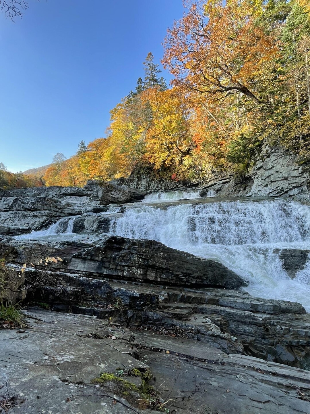 2022.10.16(日) 00:32 / ぶるさんのモーメント | YAMAP / ヤマップ