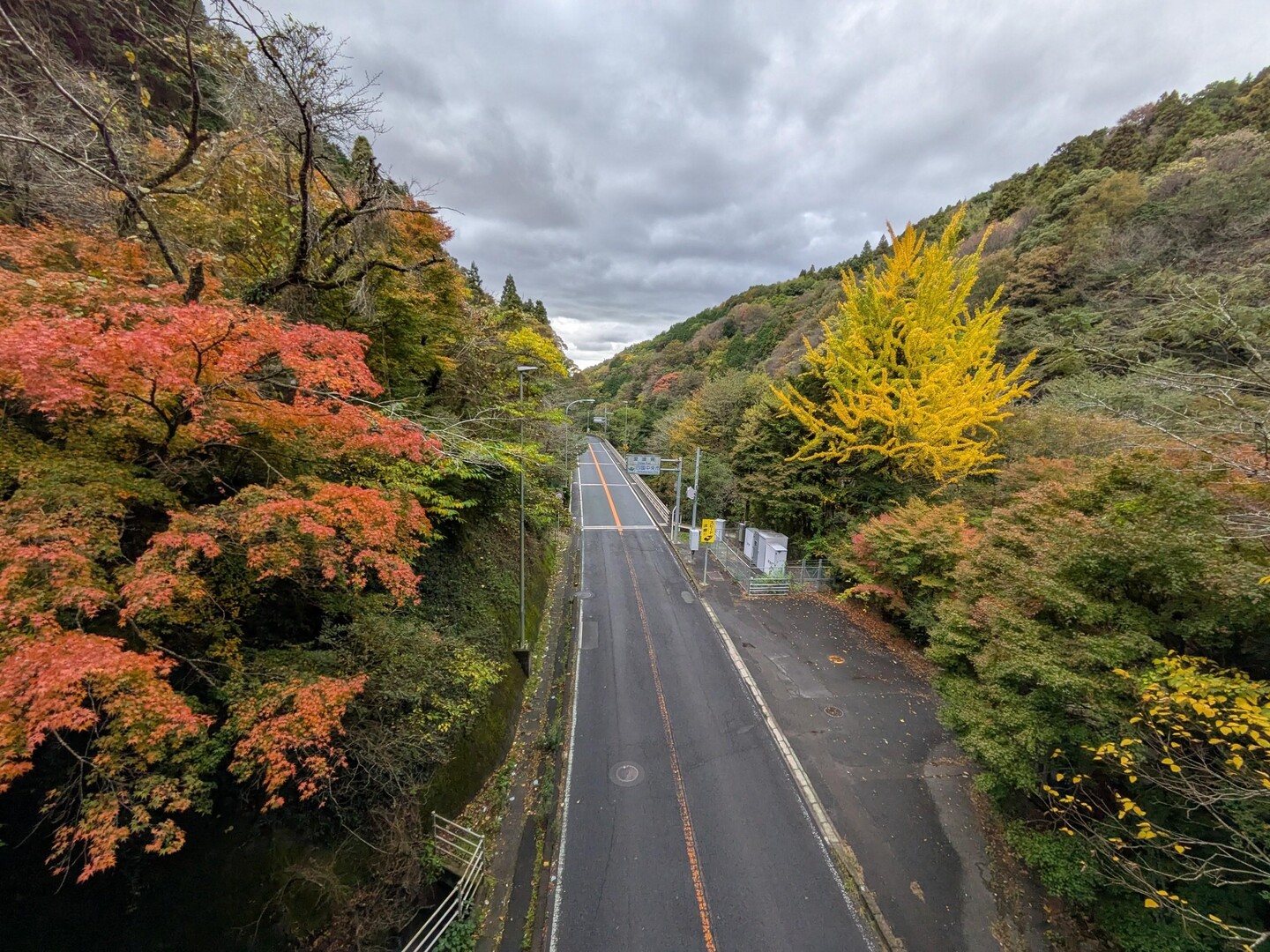 旧道峠ポタリング / BIK局長さんの雲辺寺山の活動データ | YAMAP / ヤマップ