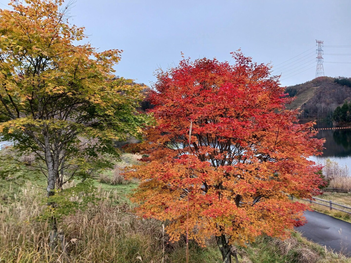 大弛↔朝日岳 / アップスタイルこぼさんの瑞牆山・金峰山の活動データ | YAMAP / ヤマップ