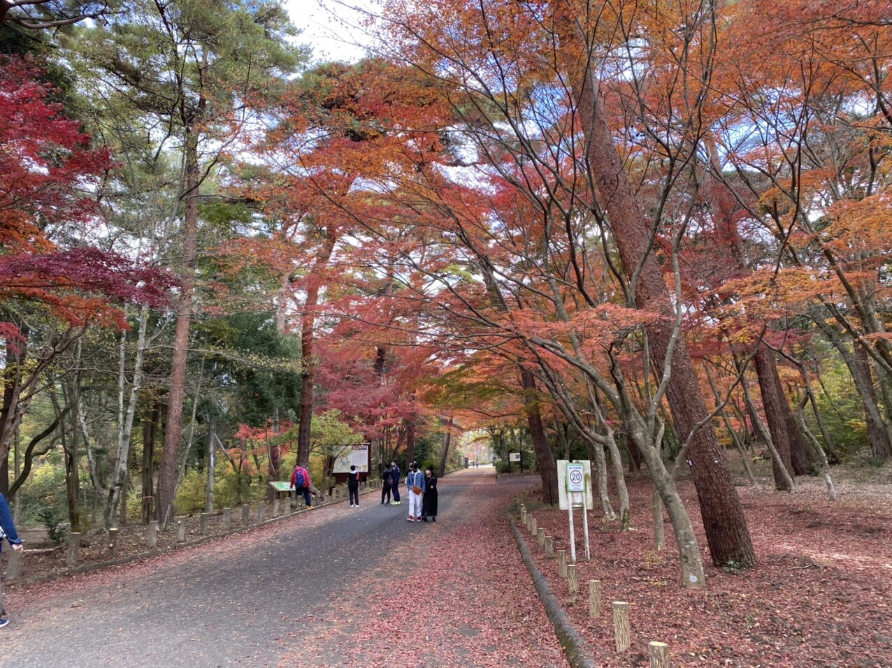 masaのページ | YAMAP / ヤマップ