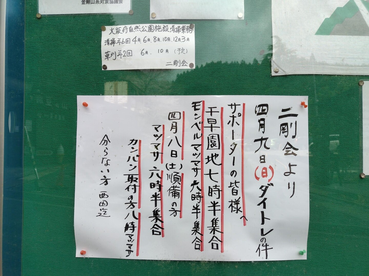 金剛山 ワサビ谷尾根ルート⤴本道⤵ / PAGUさんの葛城修験エリアマップ（金剛山周辺）の活動データ | YAMAP / ヤマップ