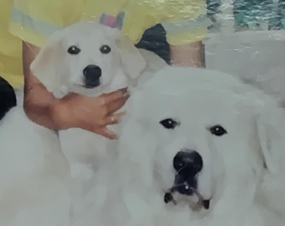 TOMTOMのページ | YAMAP / ヤマップ