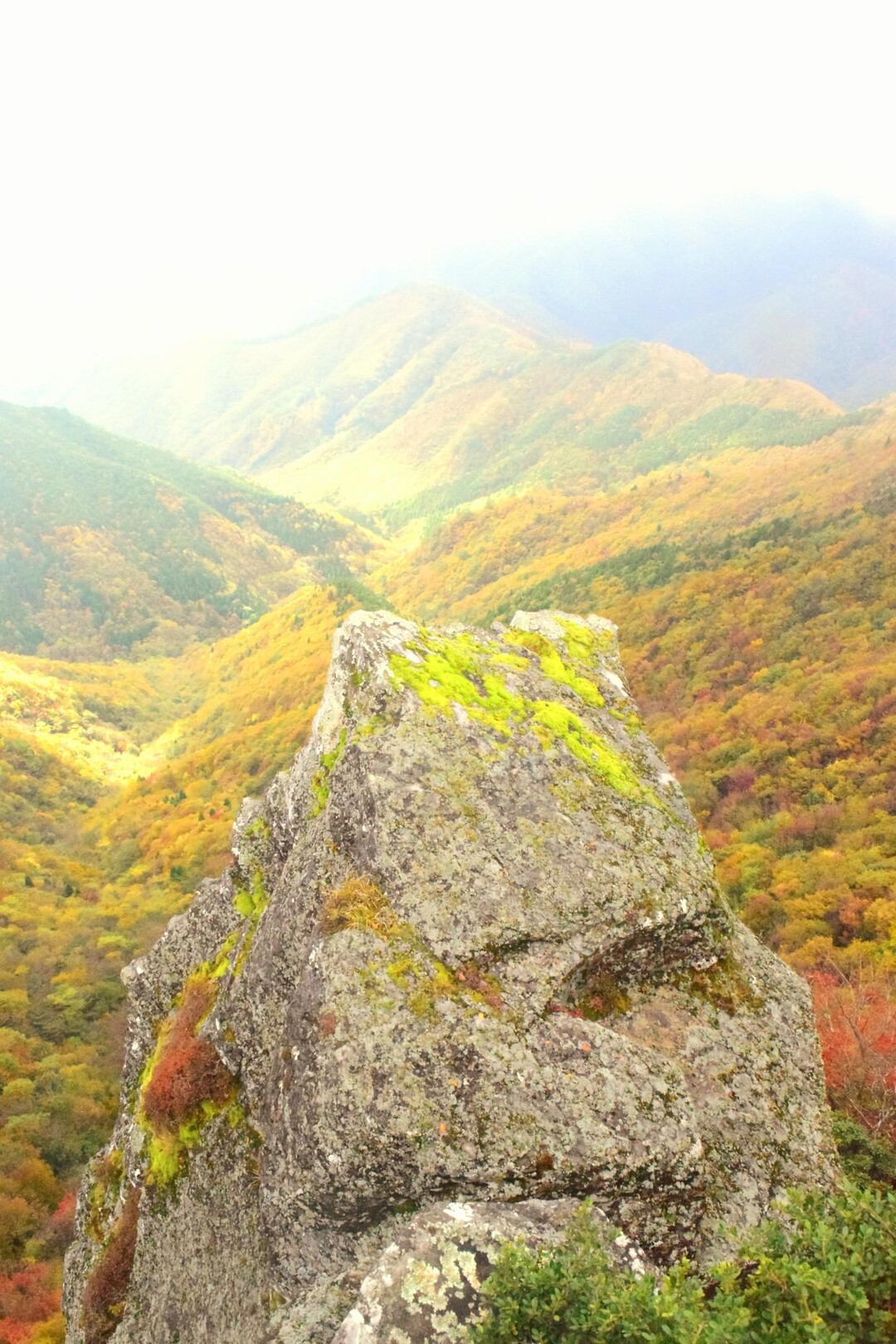 紅葉の【Red Valley Maunten】🍁🍂 / yutoshiさんの大神ヶ岳・赤谷山の活動データ | YAMAP / ヤマップ