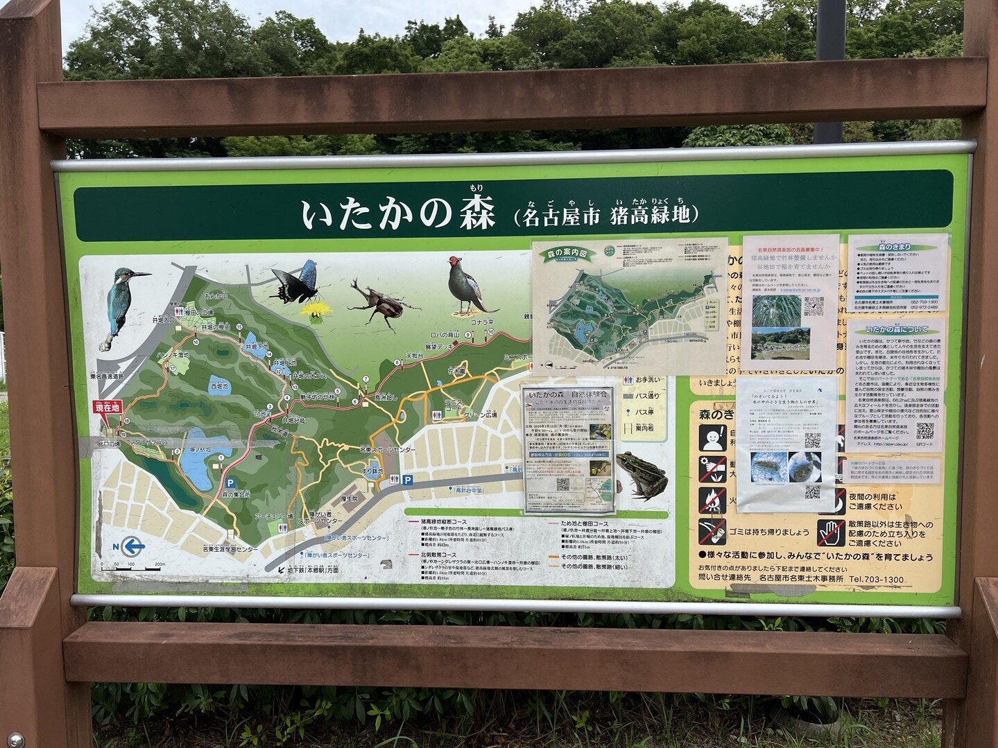 おんか山・根岳・ロバの背山・親鸞山 / hiroさんの根岳・親鸞山の活動データ | YAMAP / ヤマップ