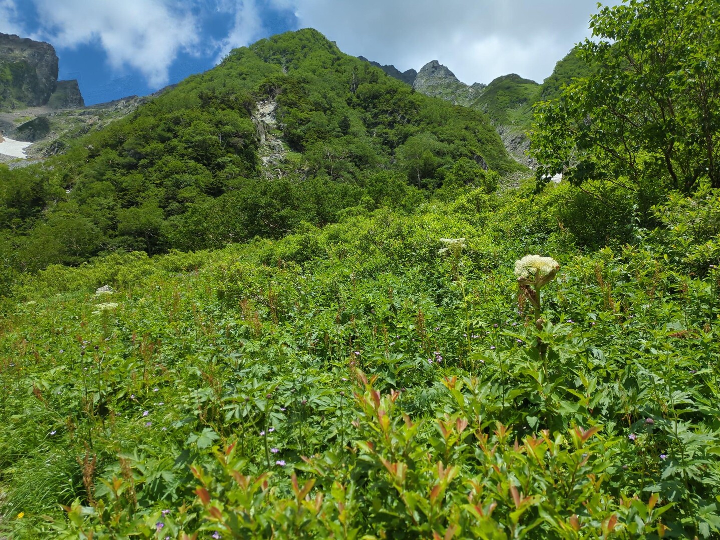 AZUSA 3thさんの投稿したフィールドメモ | YAMAP / ヤマップ