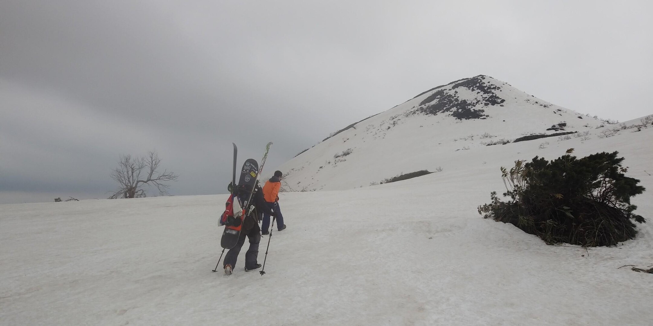 シャクナゲ岳・832m峰BC(マウンテンズ & TARIさんズ) / ひぐまたいちょさんのニセコアンヌプリ・イワオヌプリ・チセヌプリの活動データ | YAMAP / ヤマップ