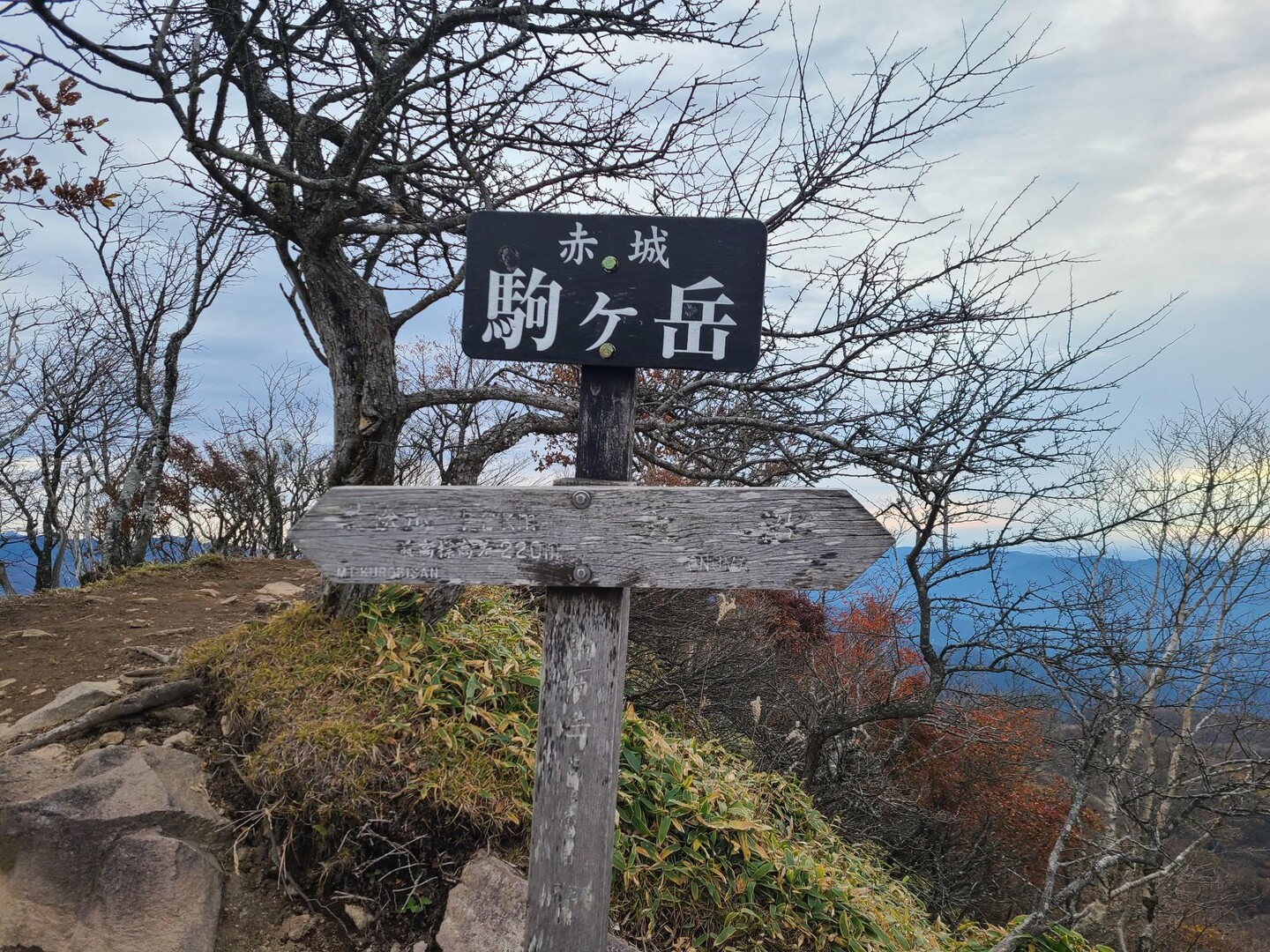 うめさんさんの投稿したフィールドメモ | YAMAP / ヤマップ