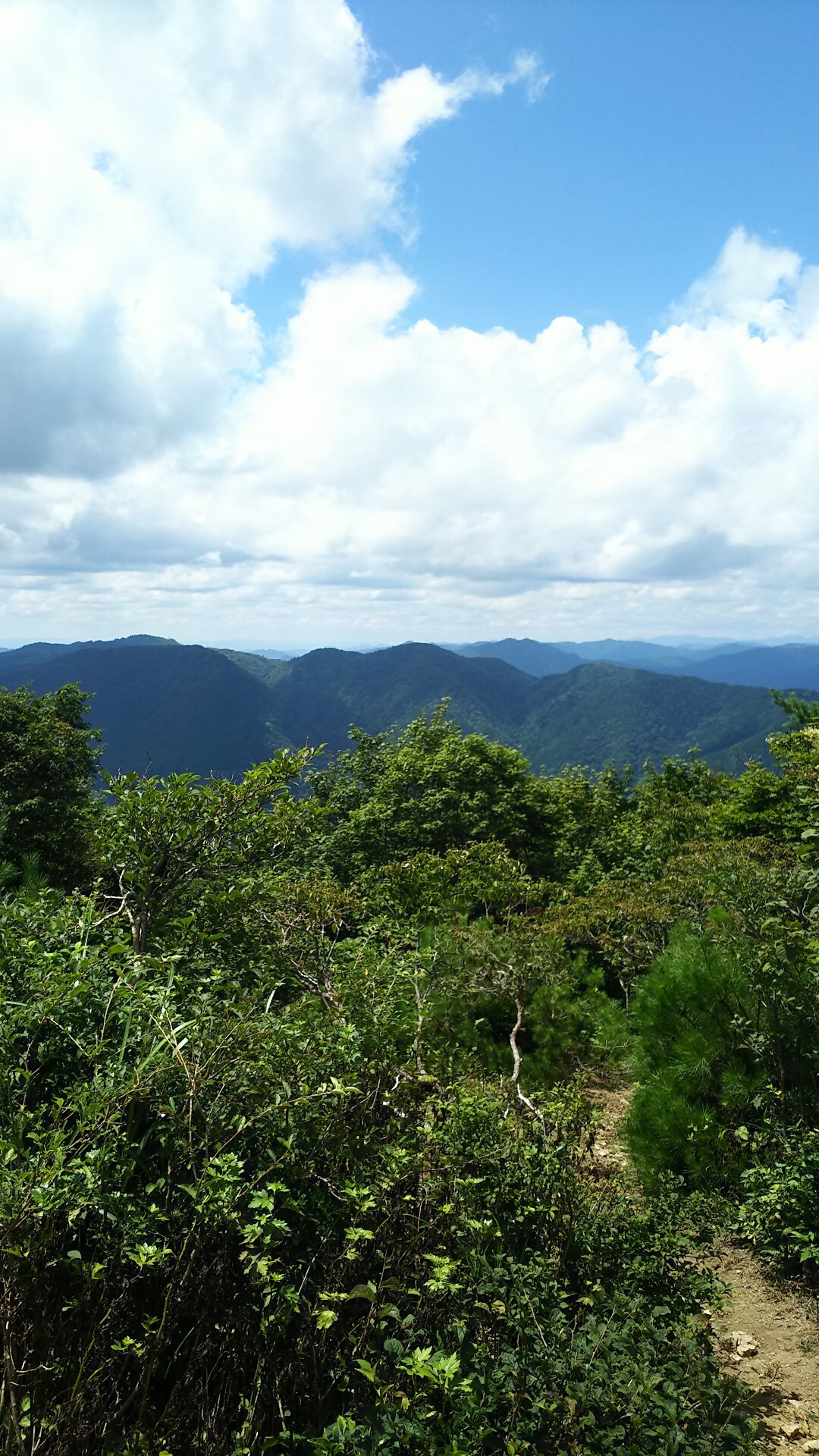 比良山地・武奈ヶ岳・釈迦岳-2018-08-11 / らんどうこうさんの比良山地・武奈ヶ岳・釈迦岳の活動データ | YAMAP / ヤマップ