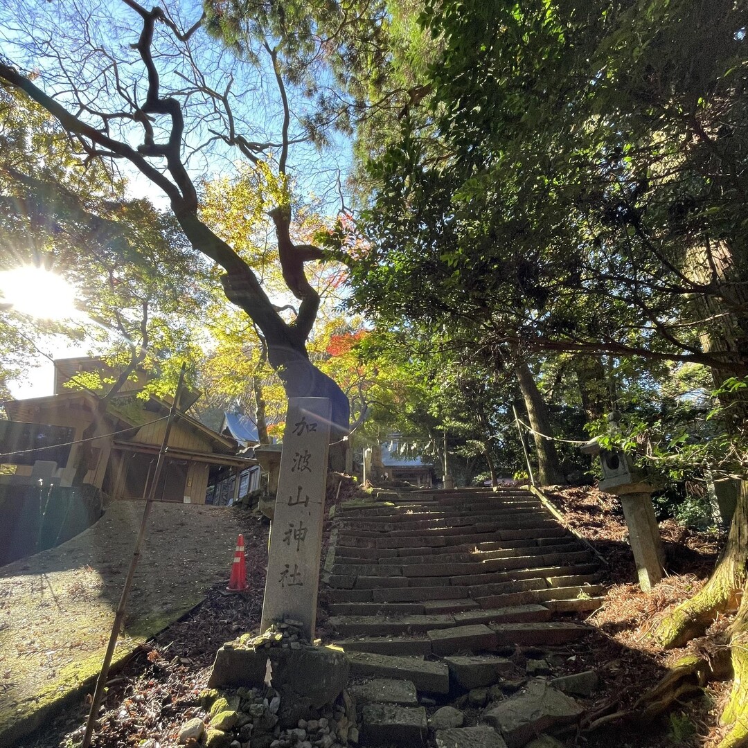 Tsukuba Mountain Range Trail Run🐗 / よごっちさんの筑波山の活動日記 | YAMAP / ヤマップ