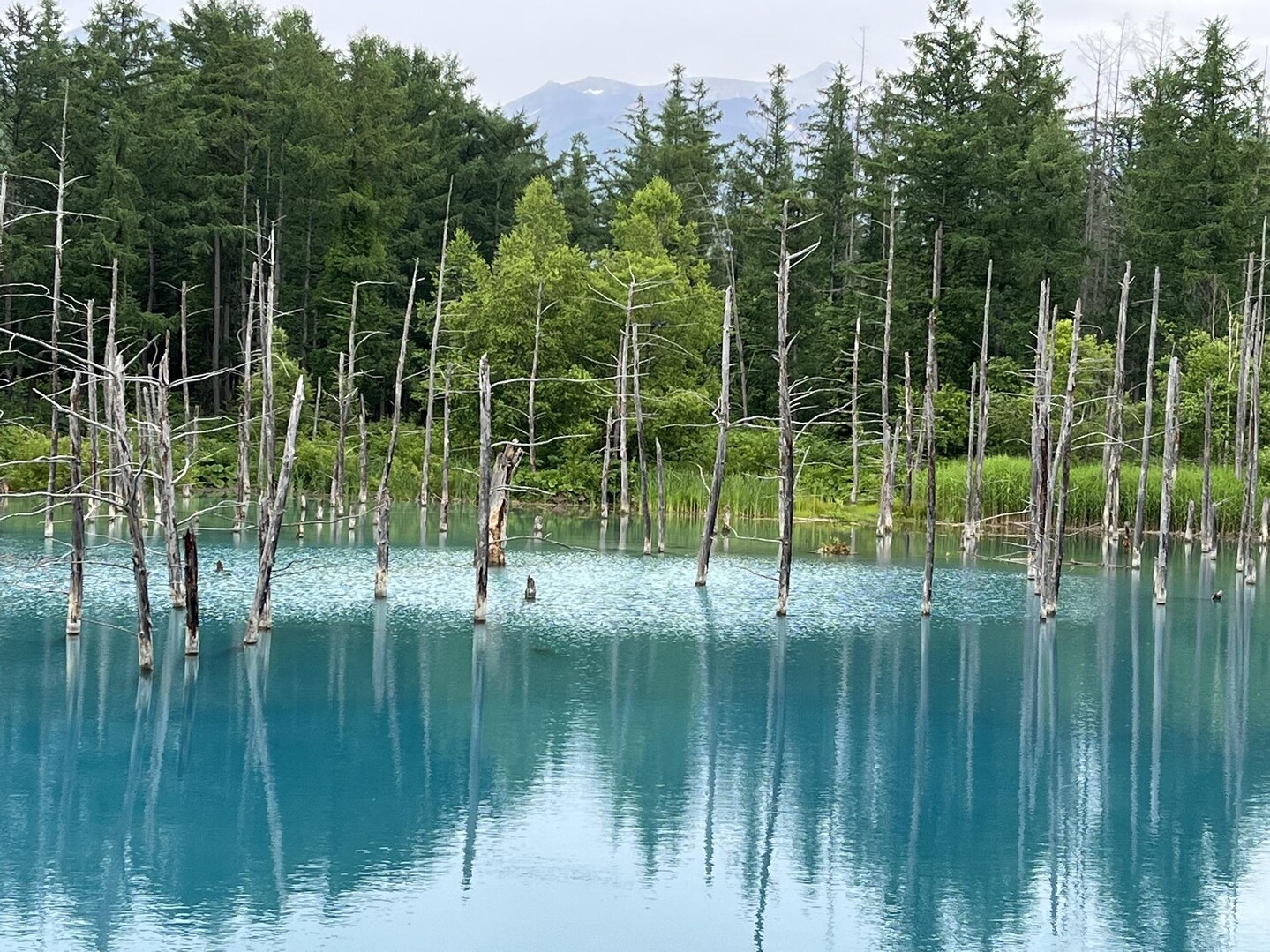 2023.07.30(日) 05:16 / 寅次郎さんのモーメント | YAMAP / ヤマップ